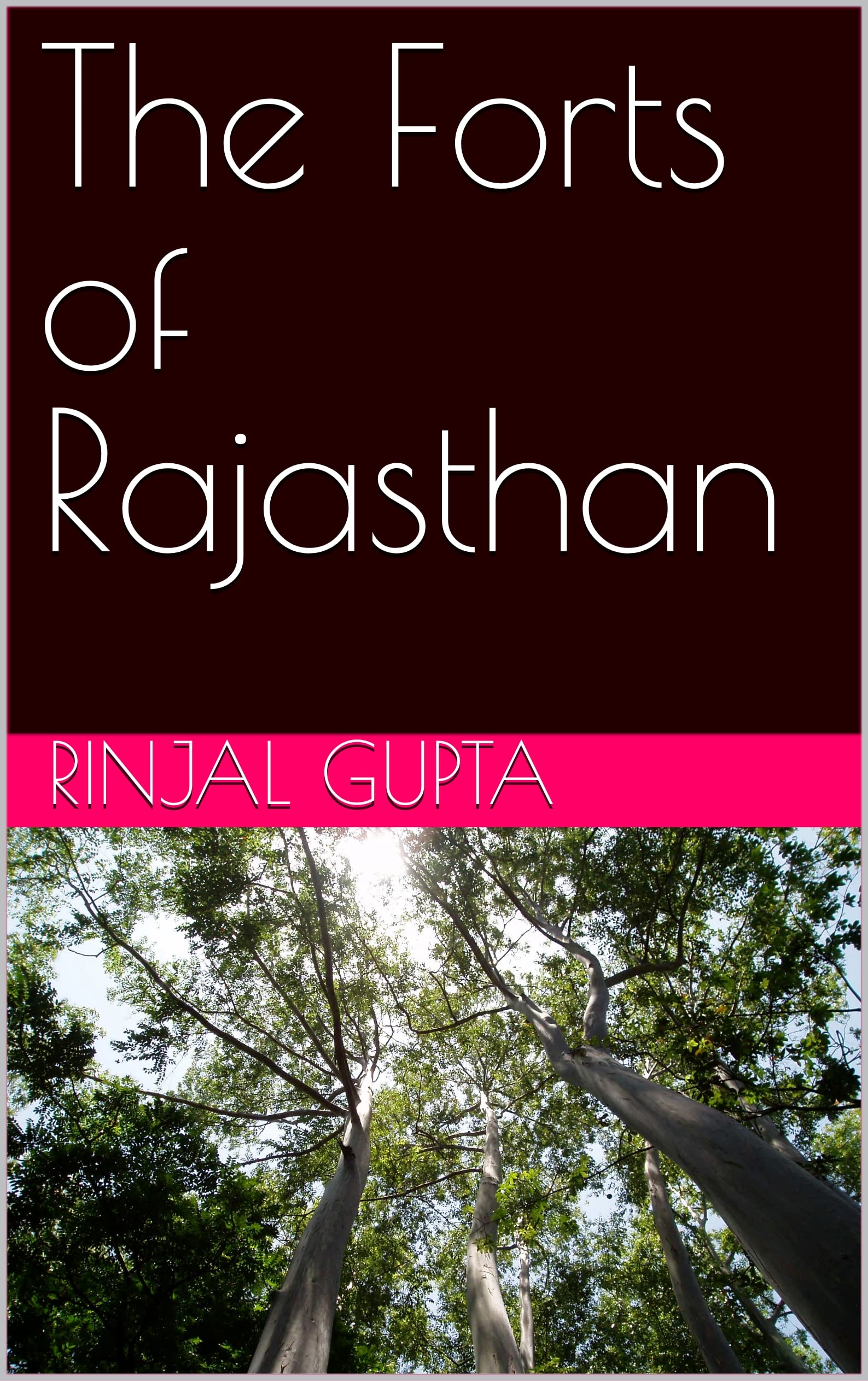 The Forts of Rajasthan by Rinjal Gupta | Goodreads