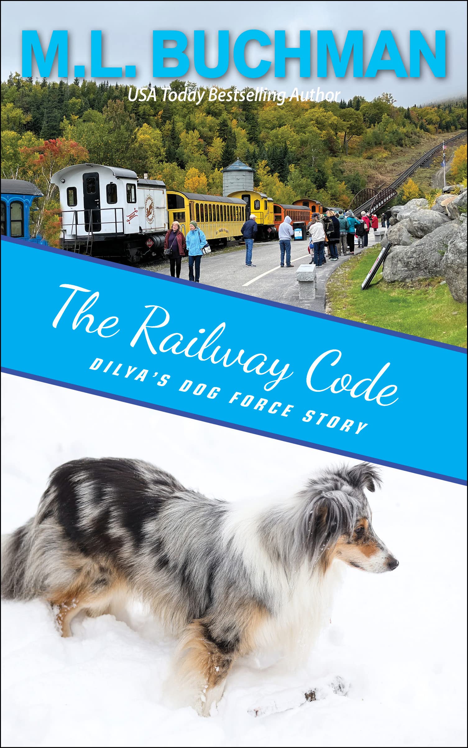 The Railway Code: a coming of age dog adventure story by M.L. Buchman ...