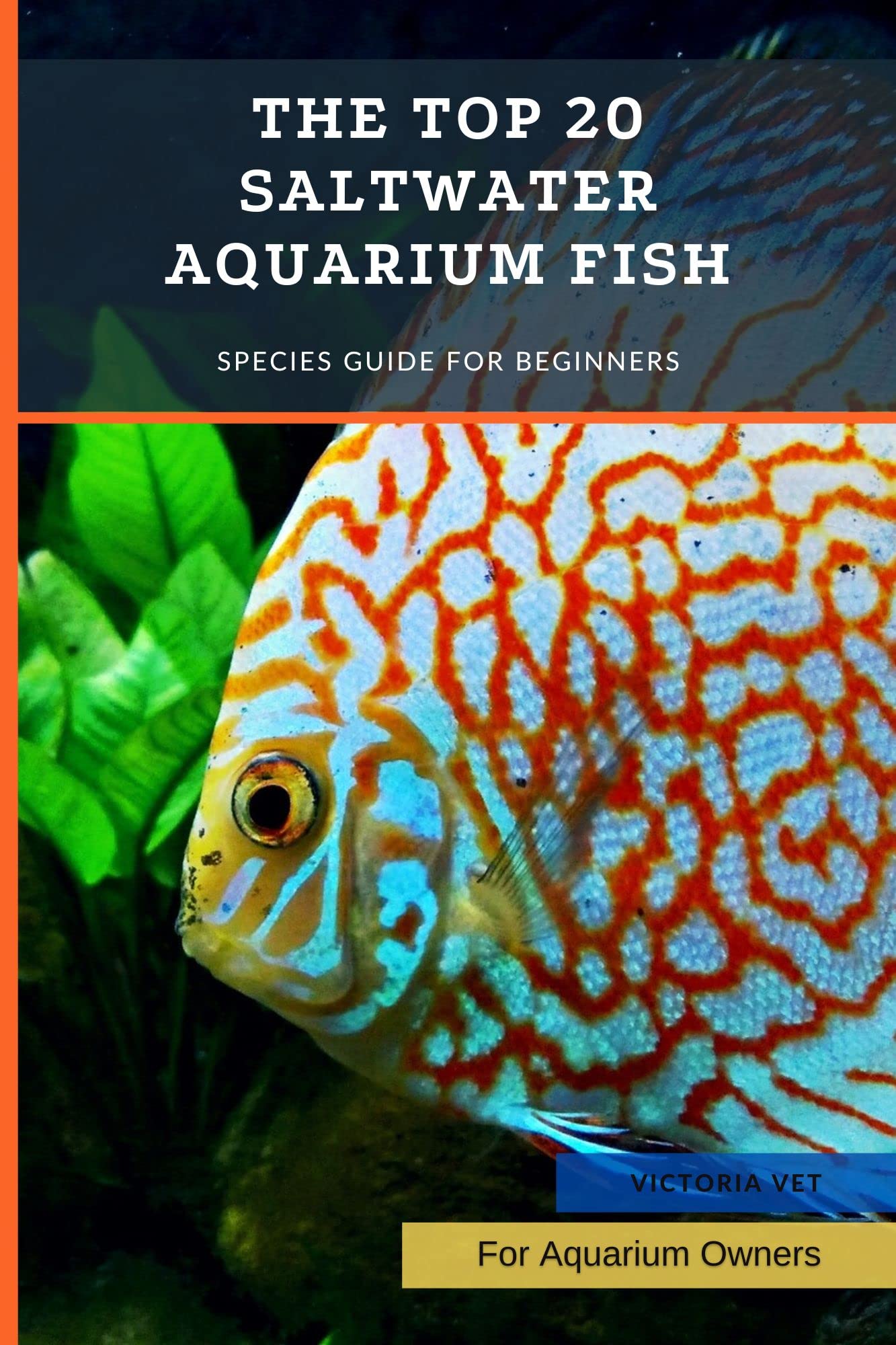 The Top 20 Saltwater Aquarium Fish: Species Guide for Beginners by ...