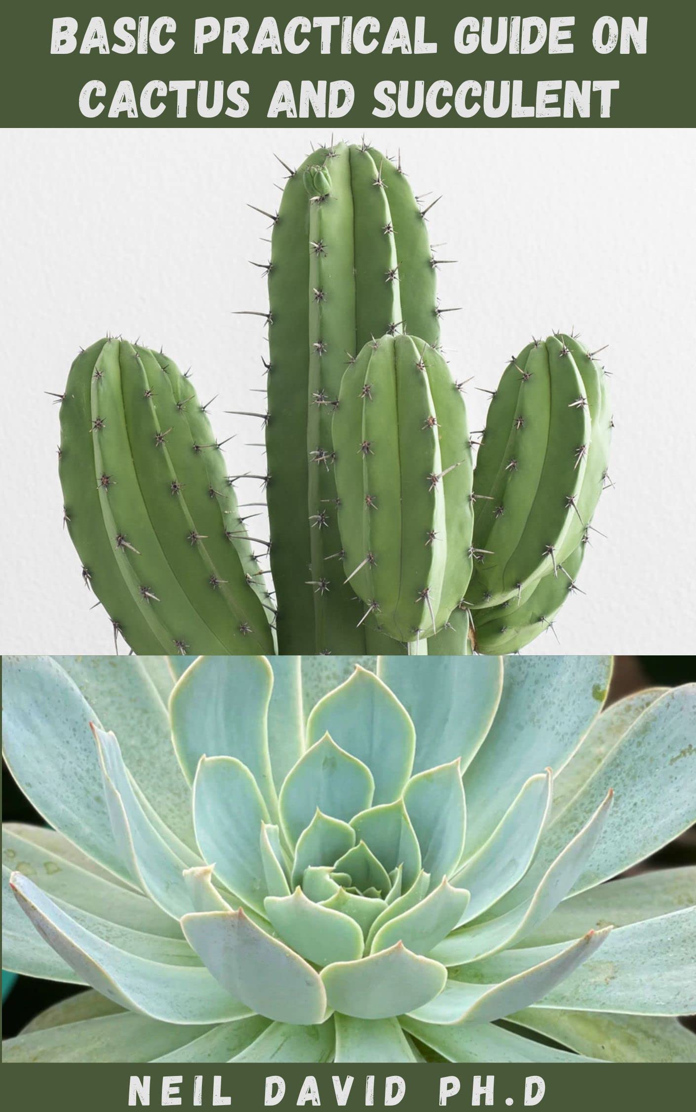 BASIC PRACTICAL GUIDE ON CACTUS AND SUCCULENT: Complete Guide To The ...