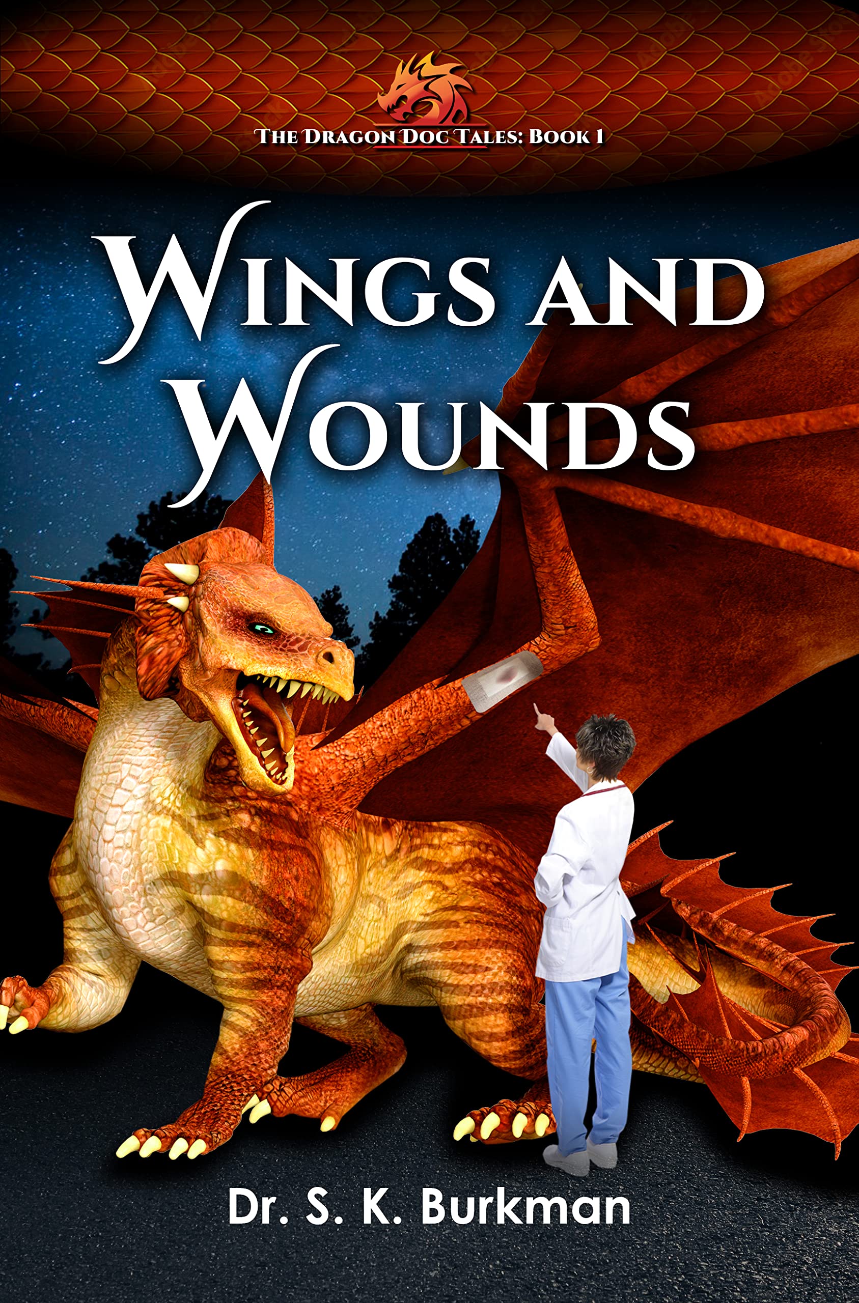 Wings and Wounds (The Dragon Doc Tales, #1) by S.K. Burkman | Goodreads