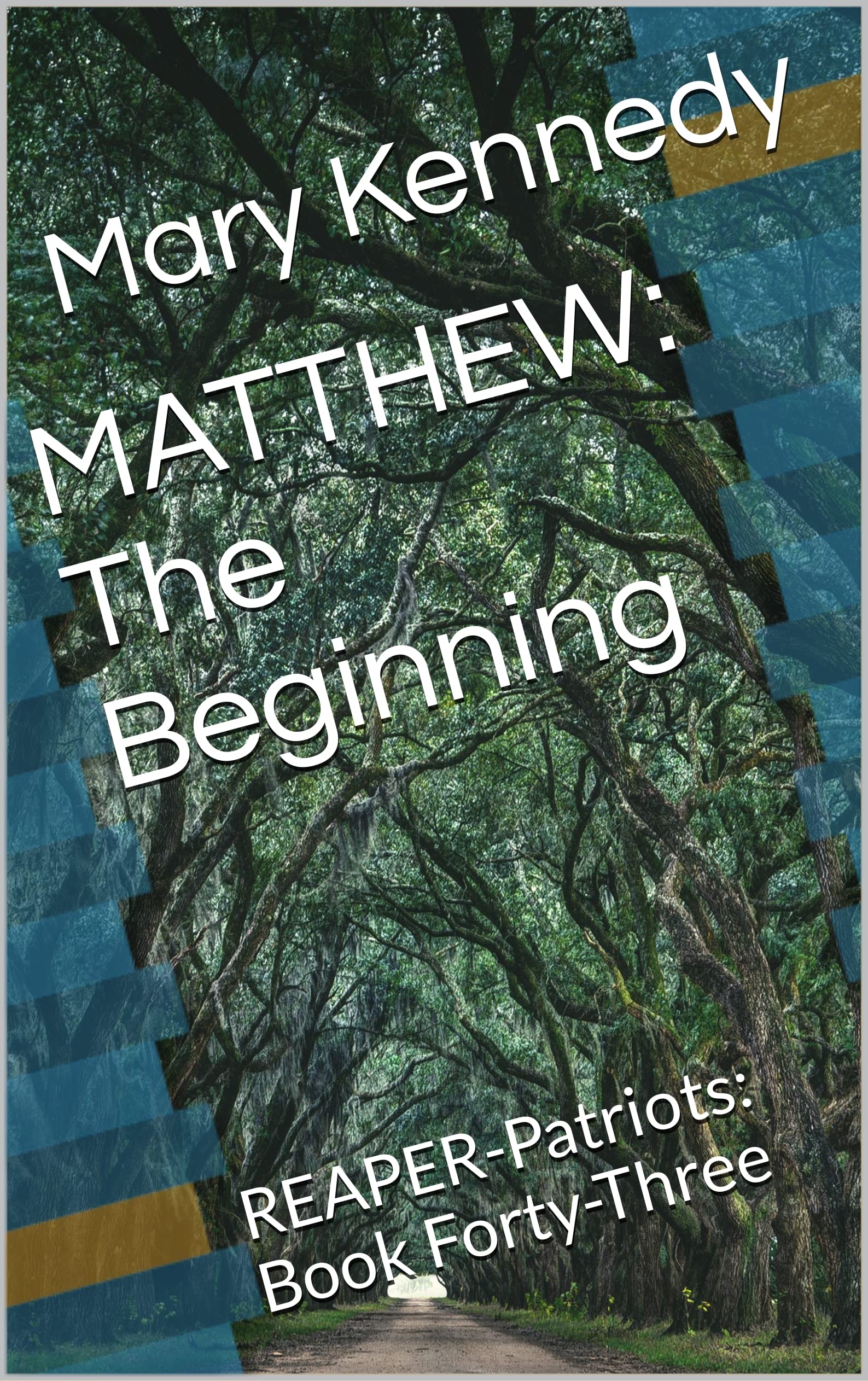 Matthew: The Beginning (REAPER-Patriots #43) by Mary Kennedy | Goodreads