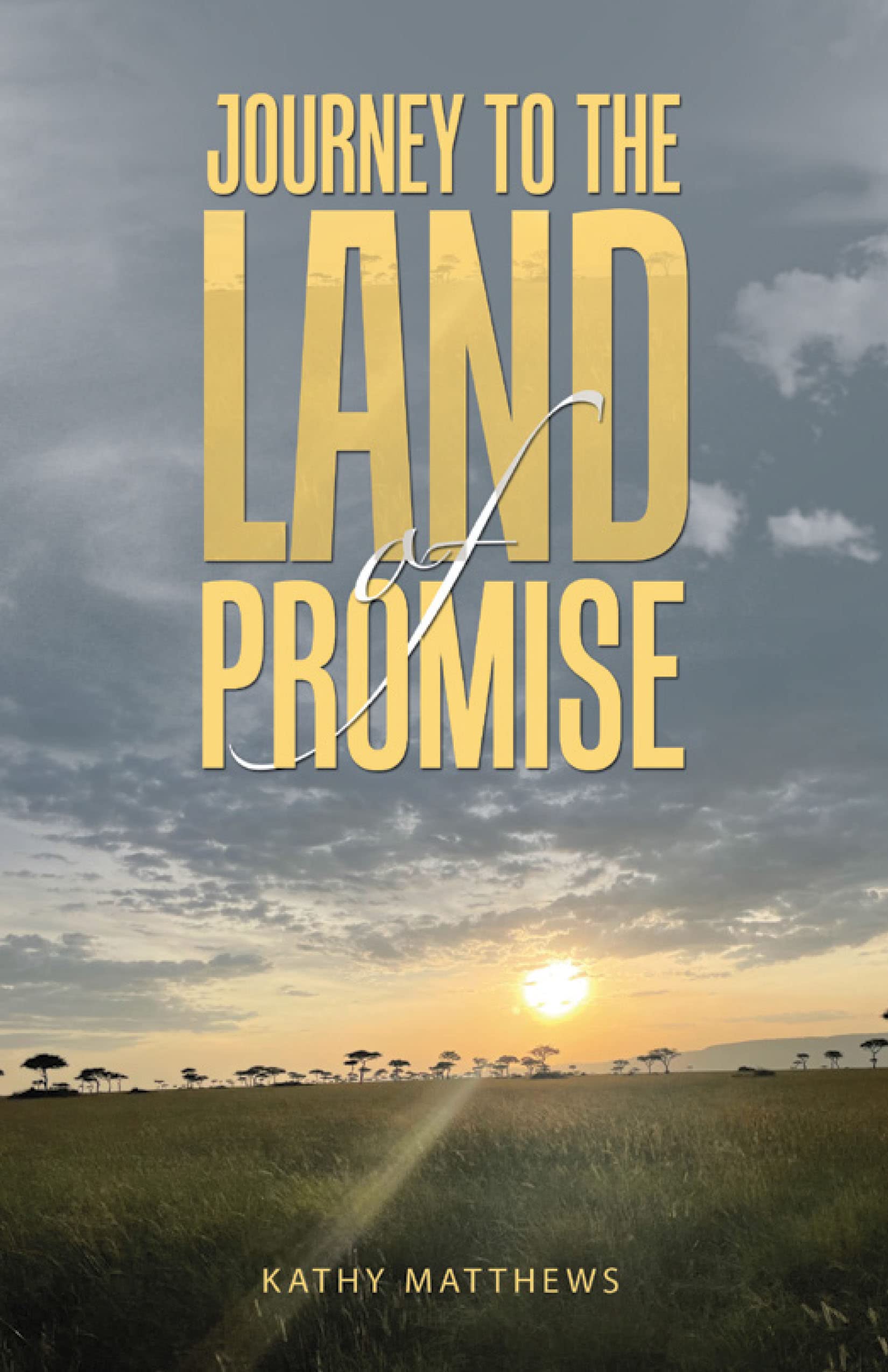 Journey to the Land of Promise by Kathy Matthews | Goodreads