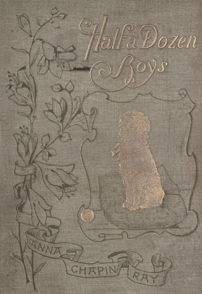 Half a Dozen Boys: An Every Day Story by Anna Chapin Ray | Goodreads