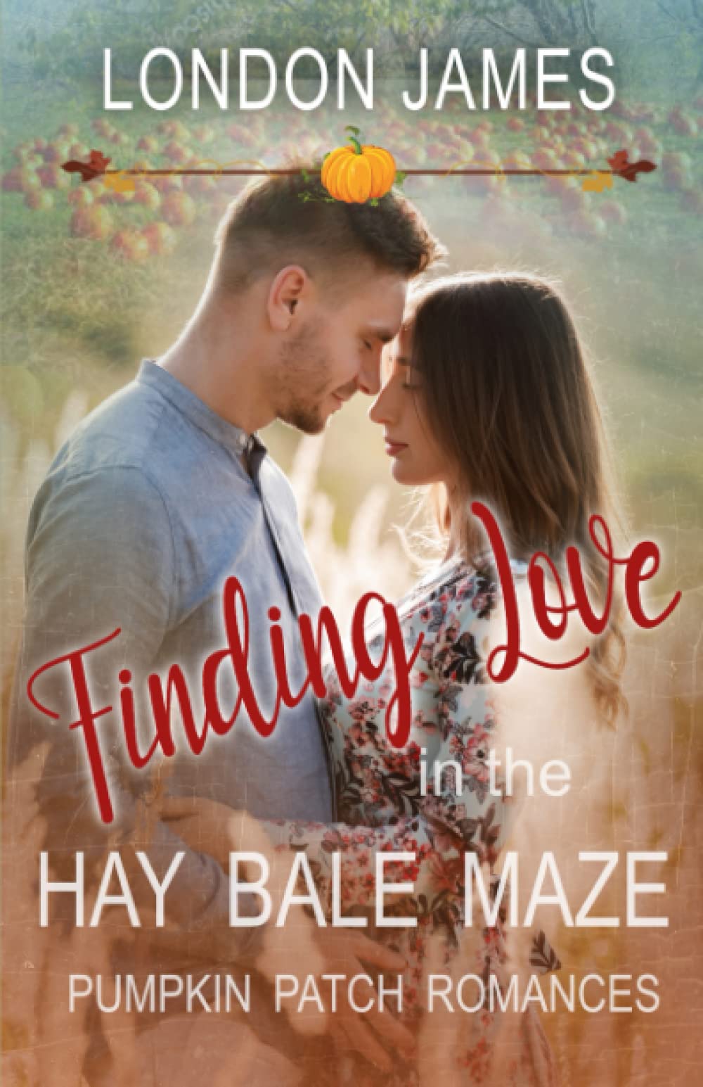 Finding Love in the Hay Bale Maze by London James | Goodreads