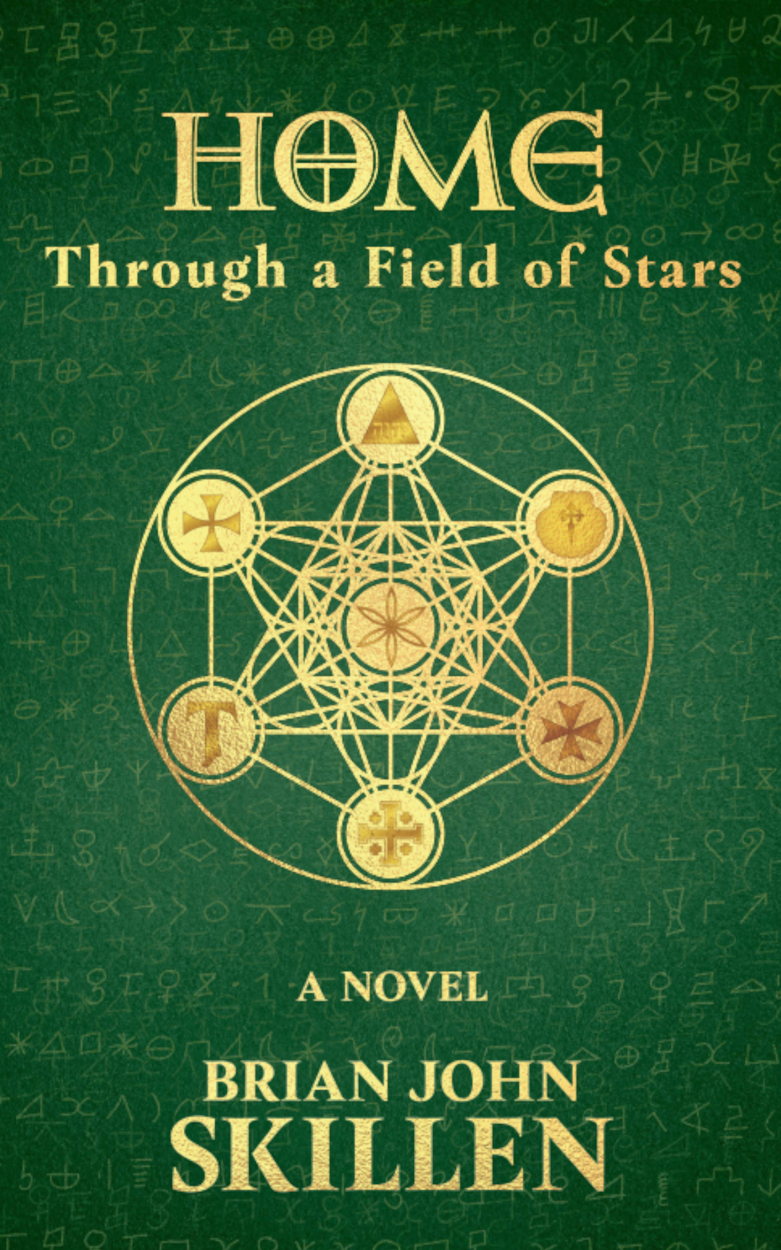 Home: Through a Field of Stars by Brian John Skillen | Goodreads