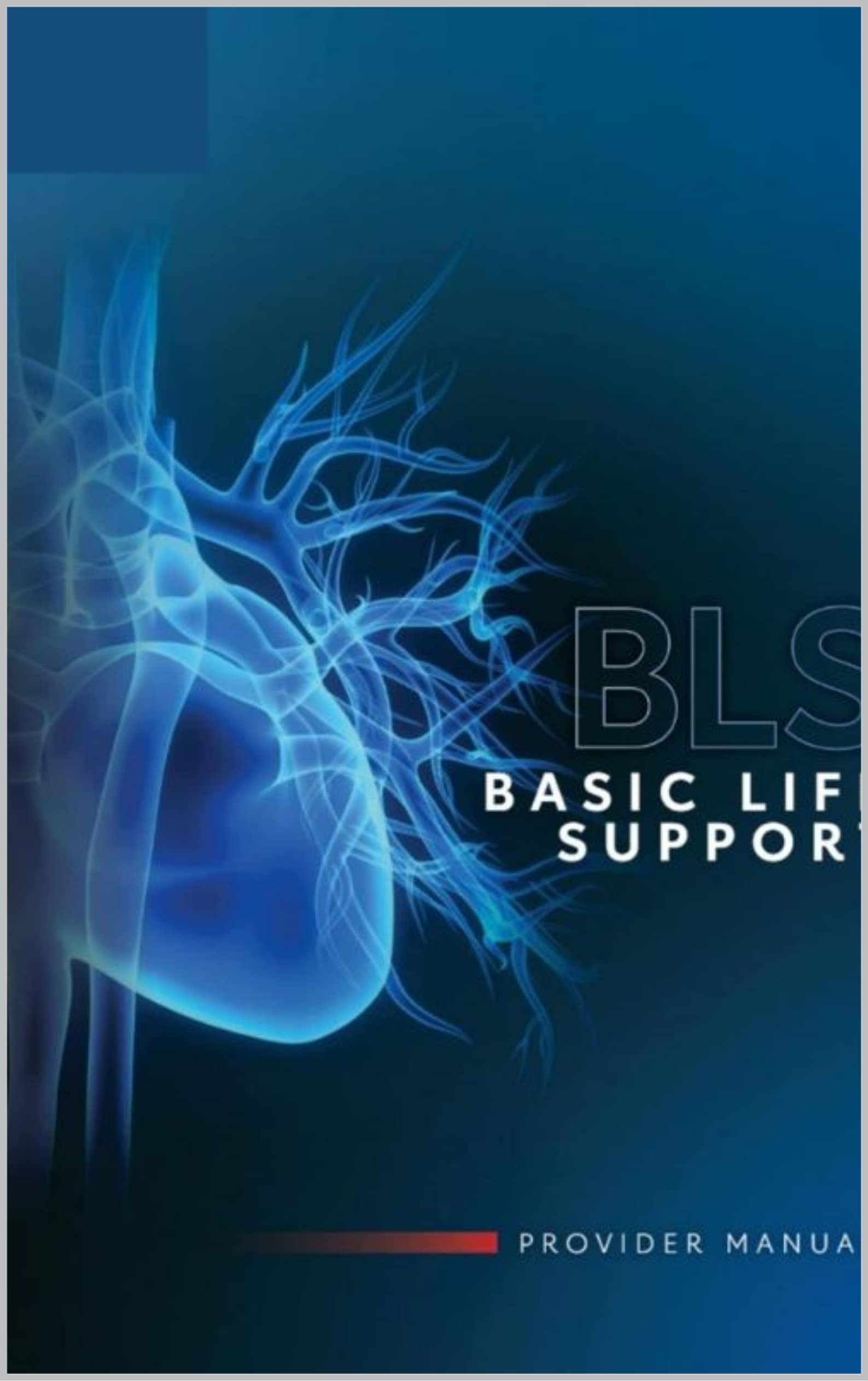 Bls Provider Manual 2020 by Tom Bradely | Goodreads