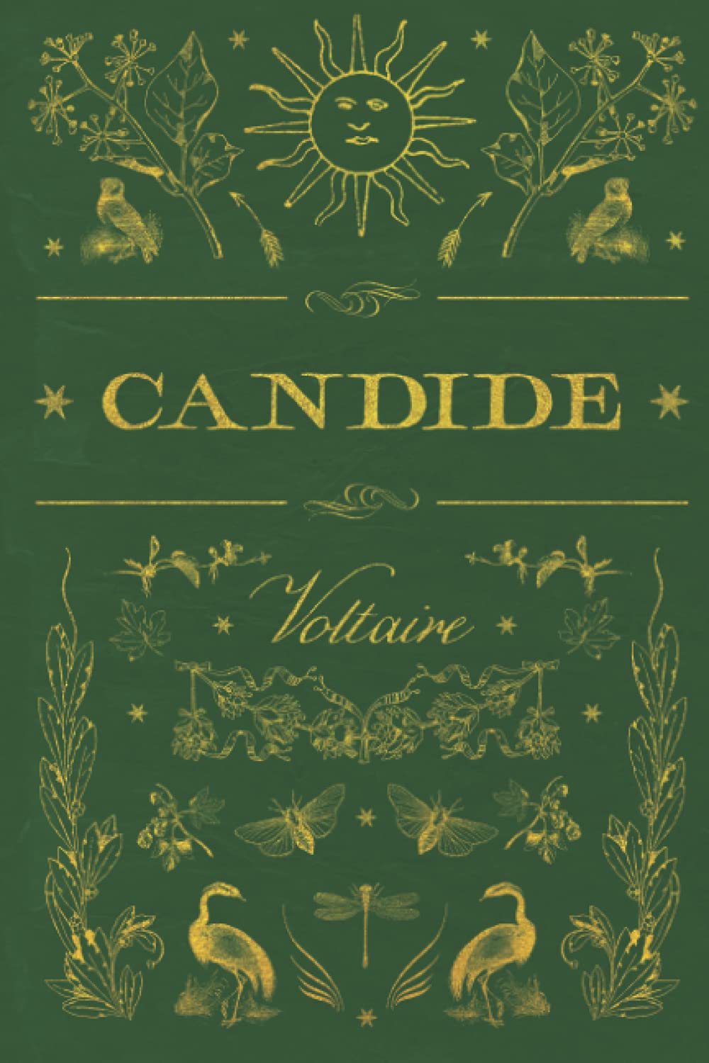 Candide: Illustrated and annotated by Voltaire | Goodreads