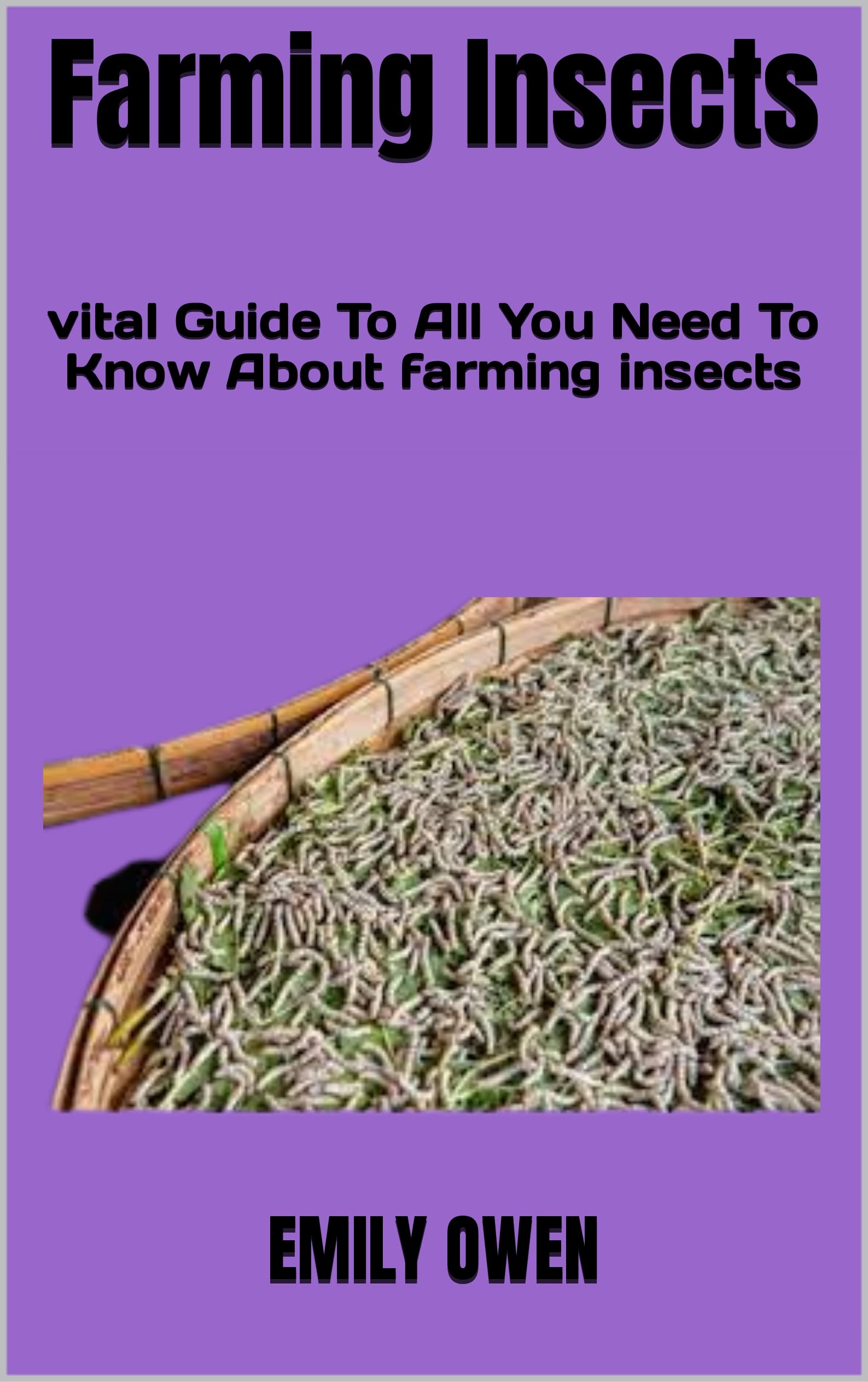 Insect Farming Ultimate Guide And Examples – FSQRD
