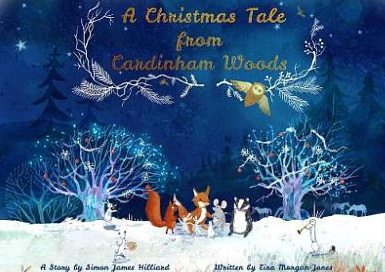 A Christmas Tale From Cardinham Woods by Eira Morgan-Jones | Goodreads