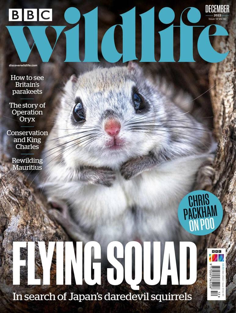 BBC Wildlife Magazine - December 2022 by Immediate Media Company London ...