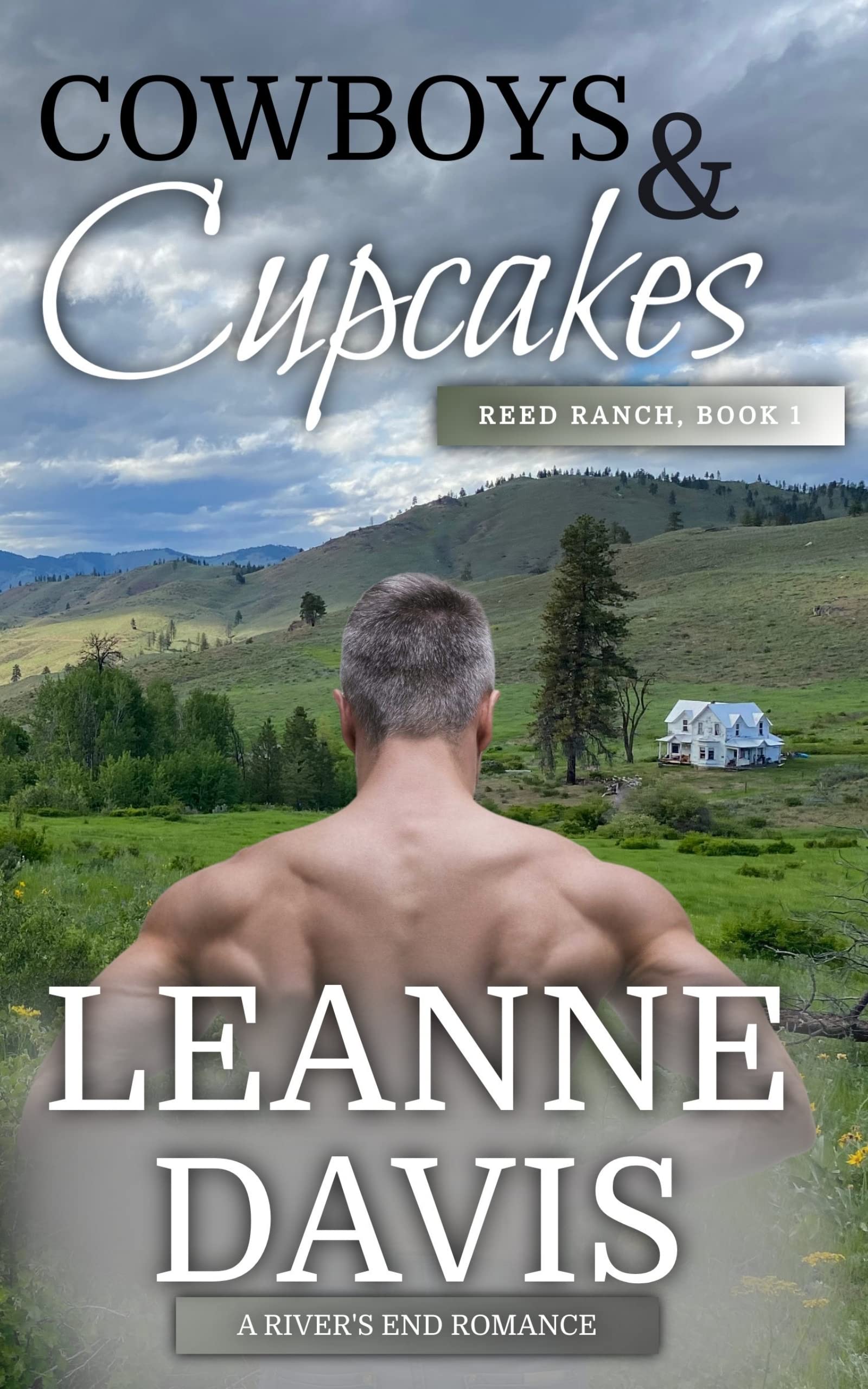 Cowboys & Cupcakes (Reed Ranch #1) by Leanne Davis | Goodreads