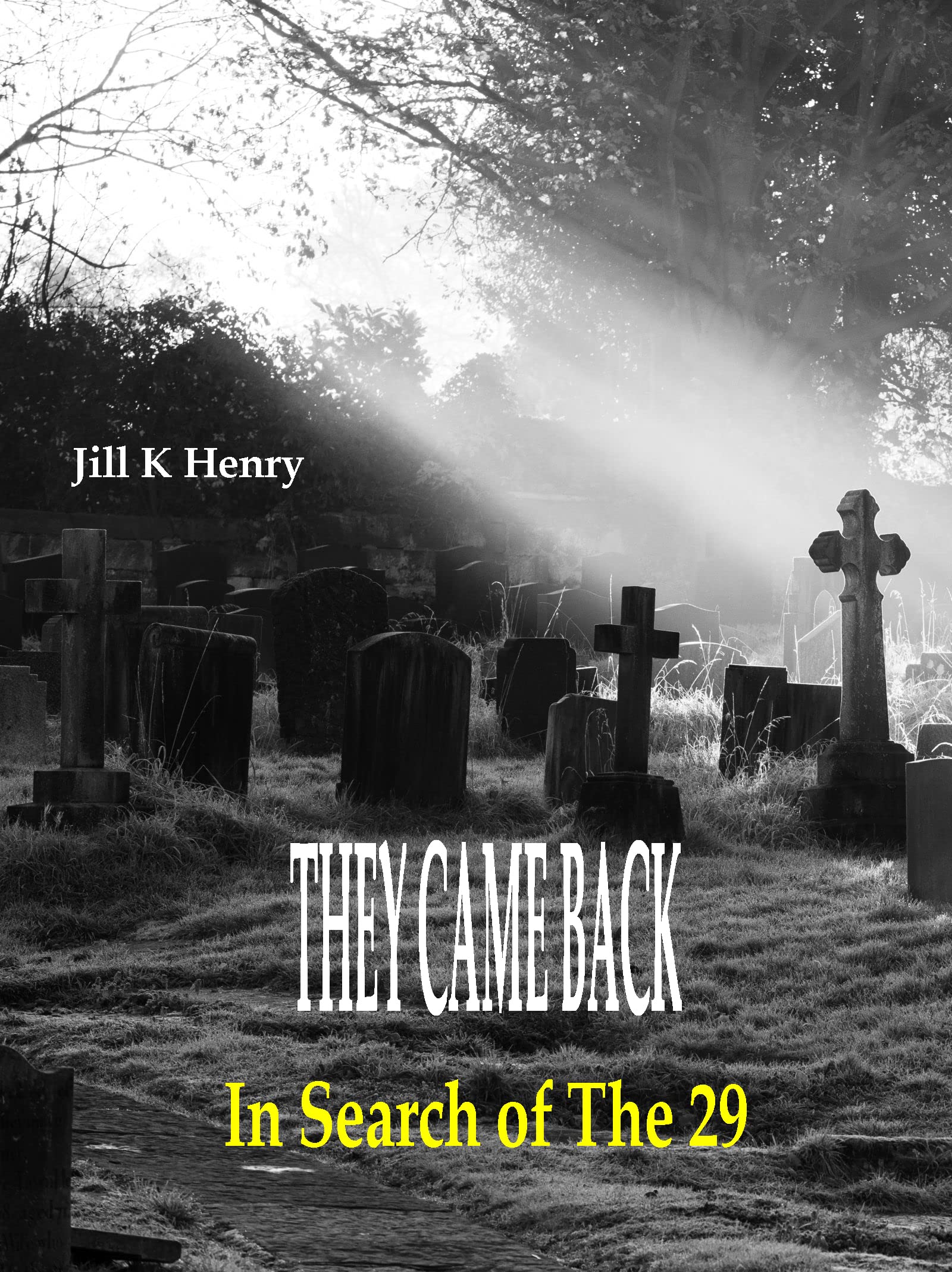 They Came Back: In Search of The 29 by Jill K Henry | Goodreads