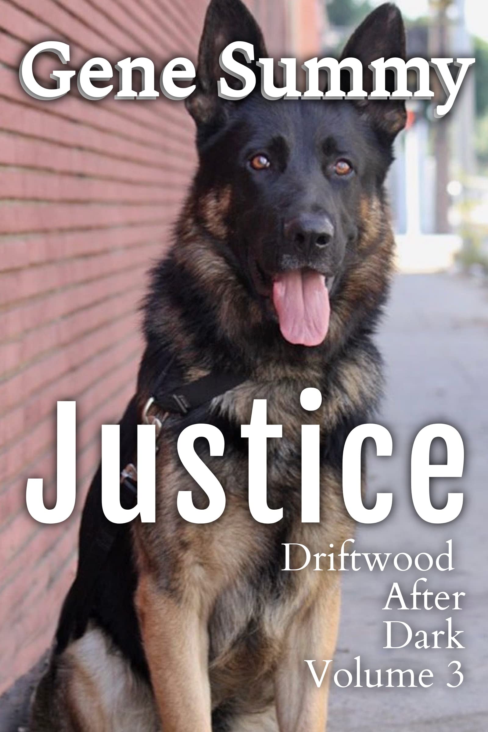 Justice (Driftwood after Dark Book 3) by Gene Summy | Goodreads