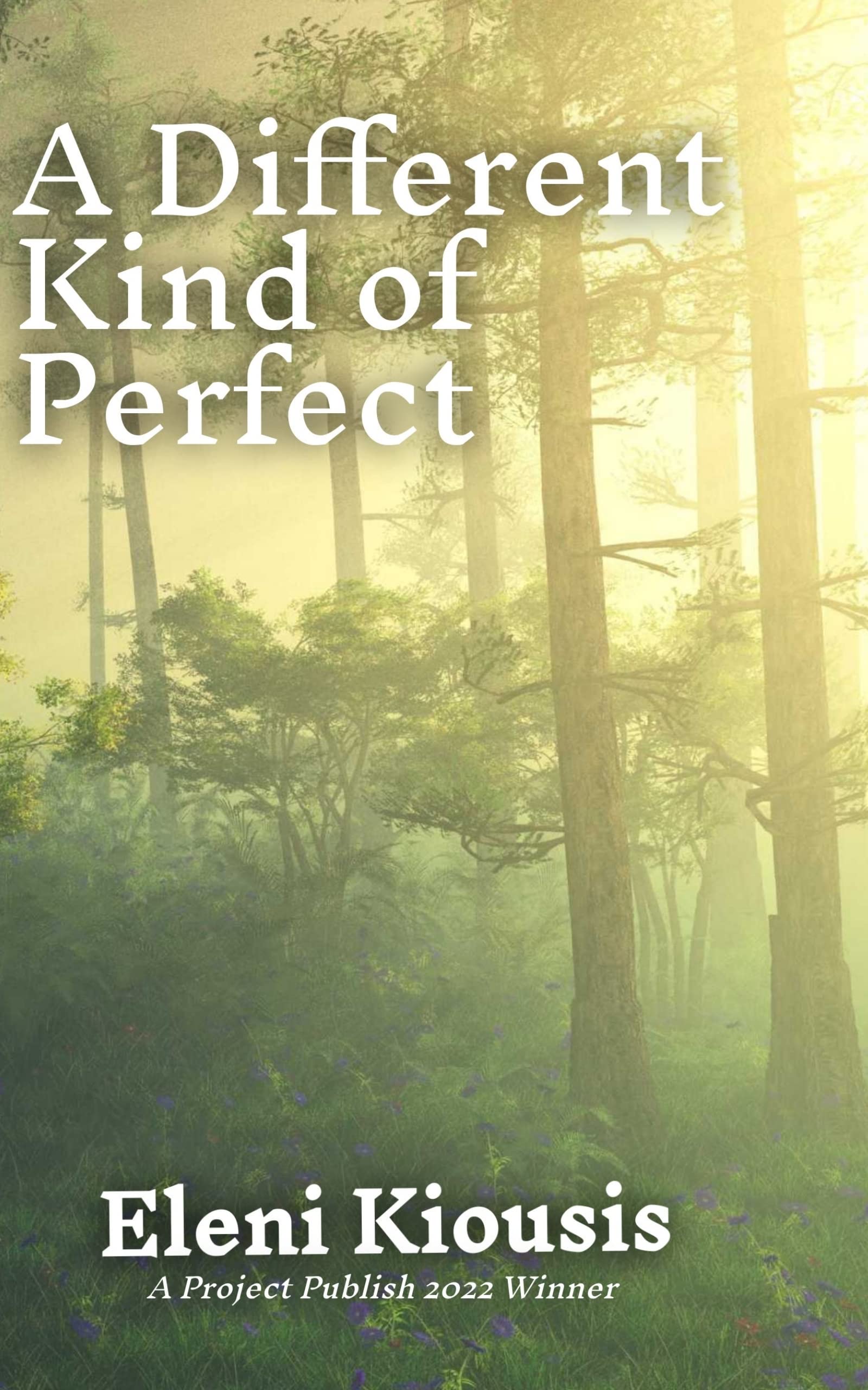 A Different Kind of Perfect by Eleni Kiousis | Goodreads