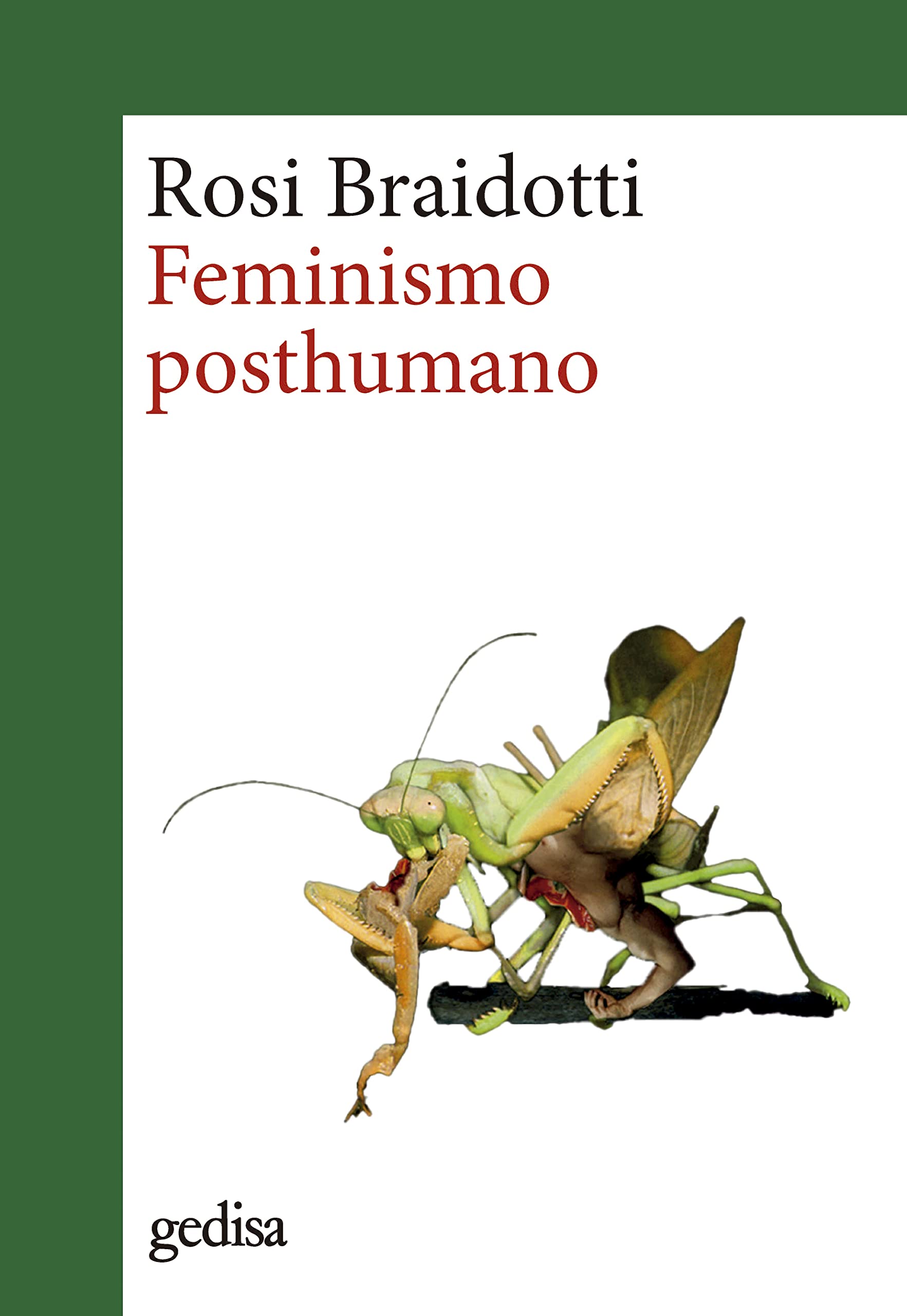 Feminismo posthumano (Spanish Edition) by Rosi Braidotti | Goodreads