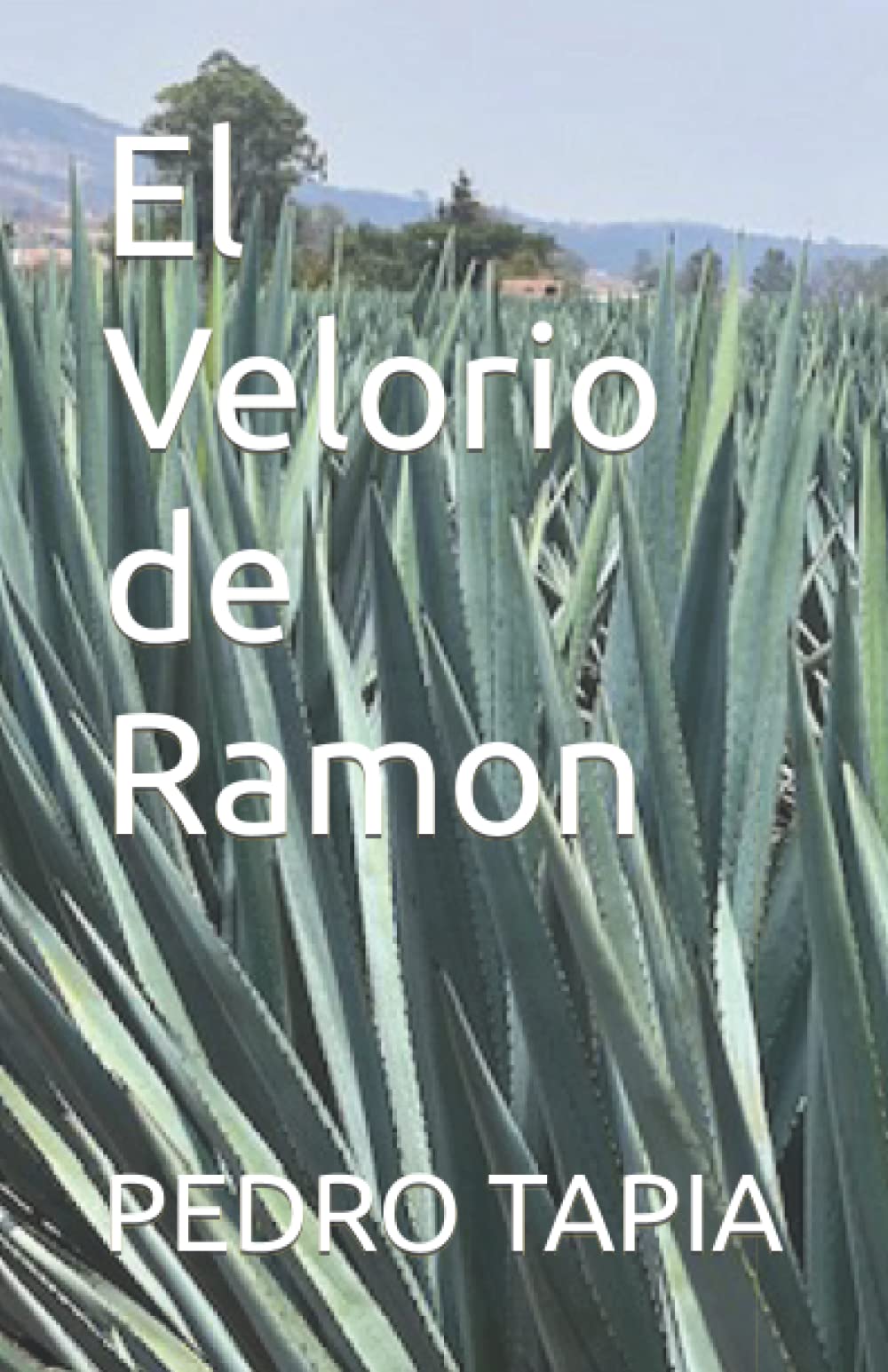 El Velorio de Ramon: Y Tito el despreciado by Pedro Tapia | Goodreads