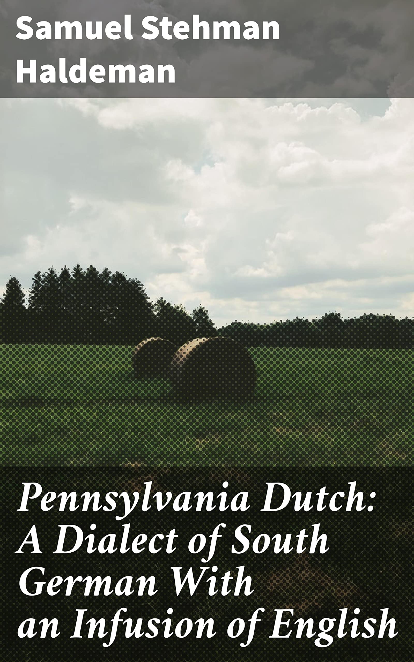Pennsylvania Dutch: A Dialect of South German With an Infusion of ...