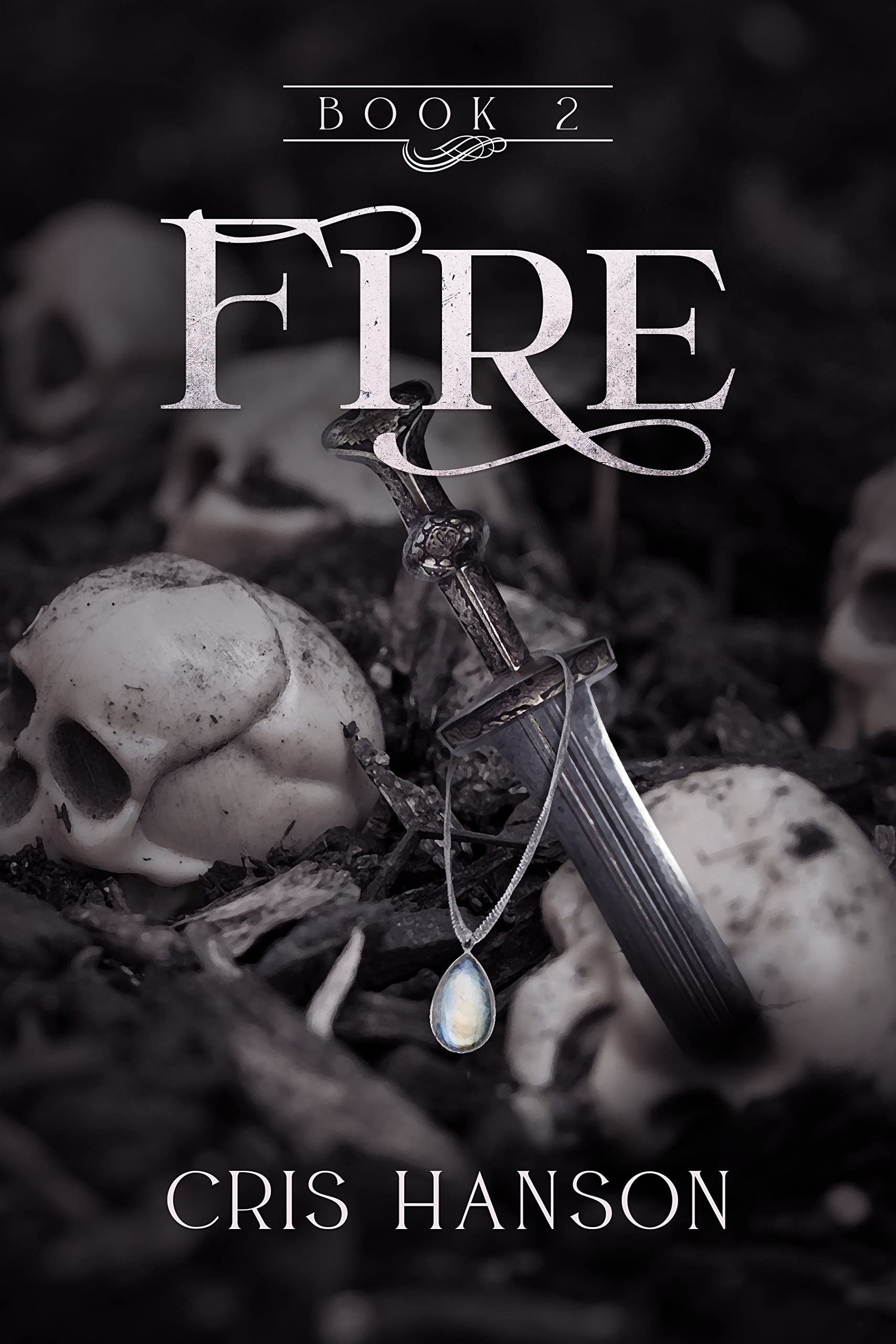 Fire (Andi Turner Series Book 2) by Cris Hanson | Goodreads