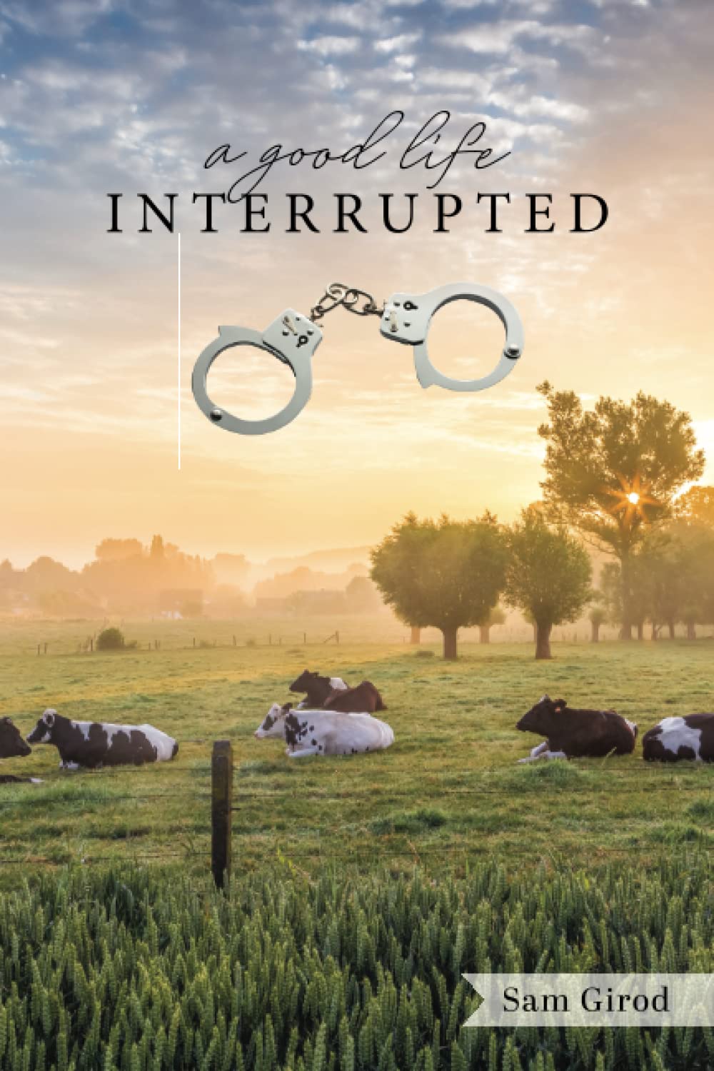 A Good Life Interrupted by Sam Girod | Goodreads