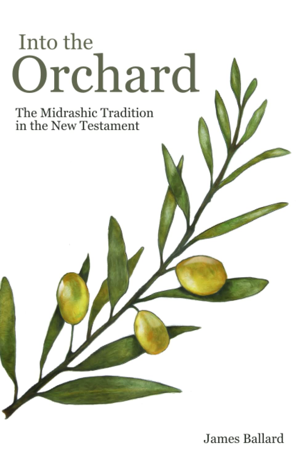 Into the Orchard: The Midrashic Tradition in the New Testament by James ...