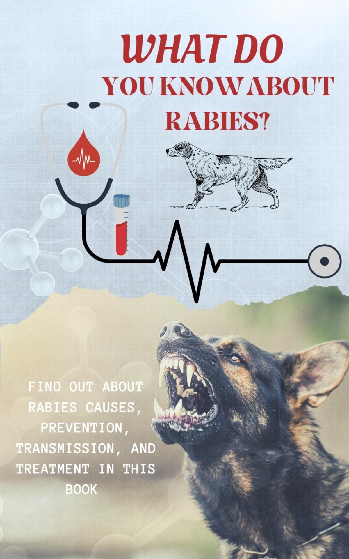 WHAT DO YOU KNOW ABOUT RABIES ?: Find Out About the Scientific Basis of ...