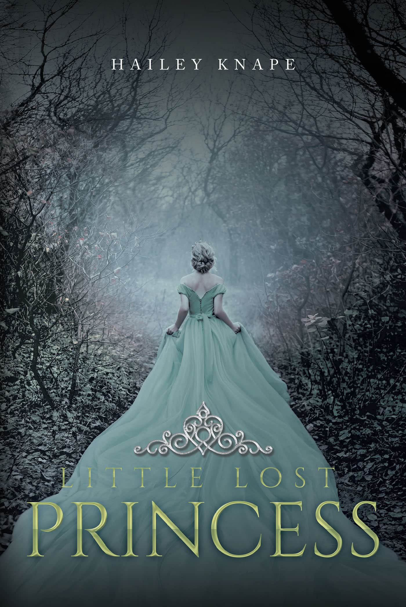 Little Lost Princess by Hailey Knape | Goodreads