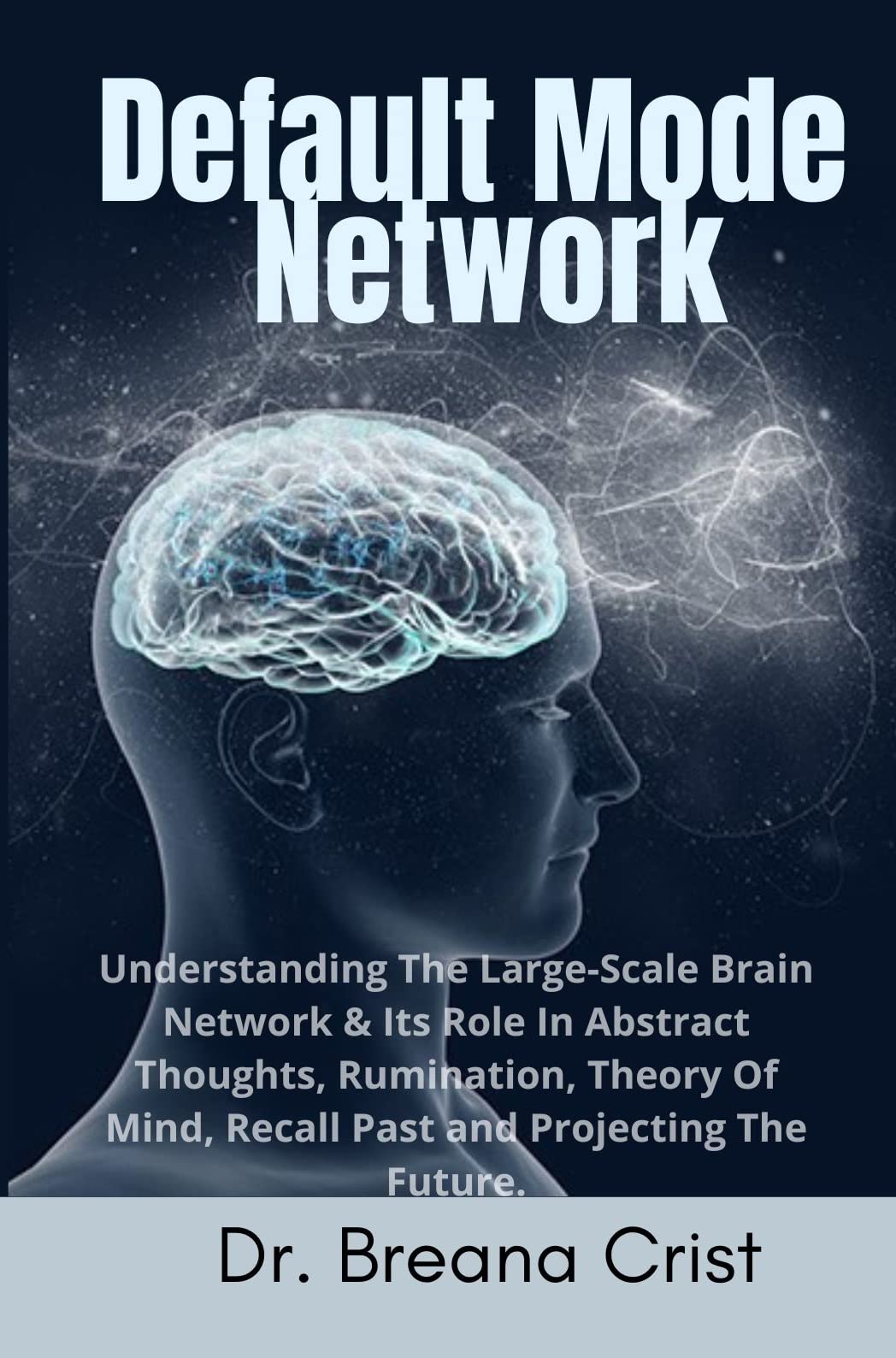 Default Mode Network: Understanding The Large-Scale Brain Network & Its Role In Abstract ...