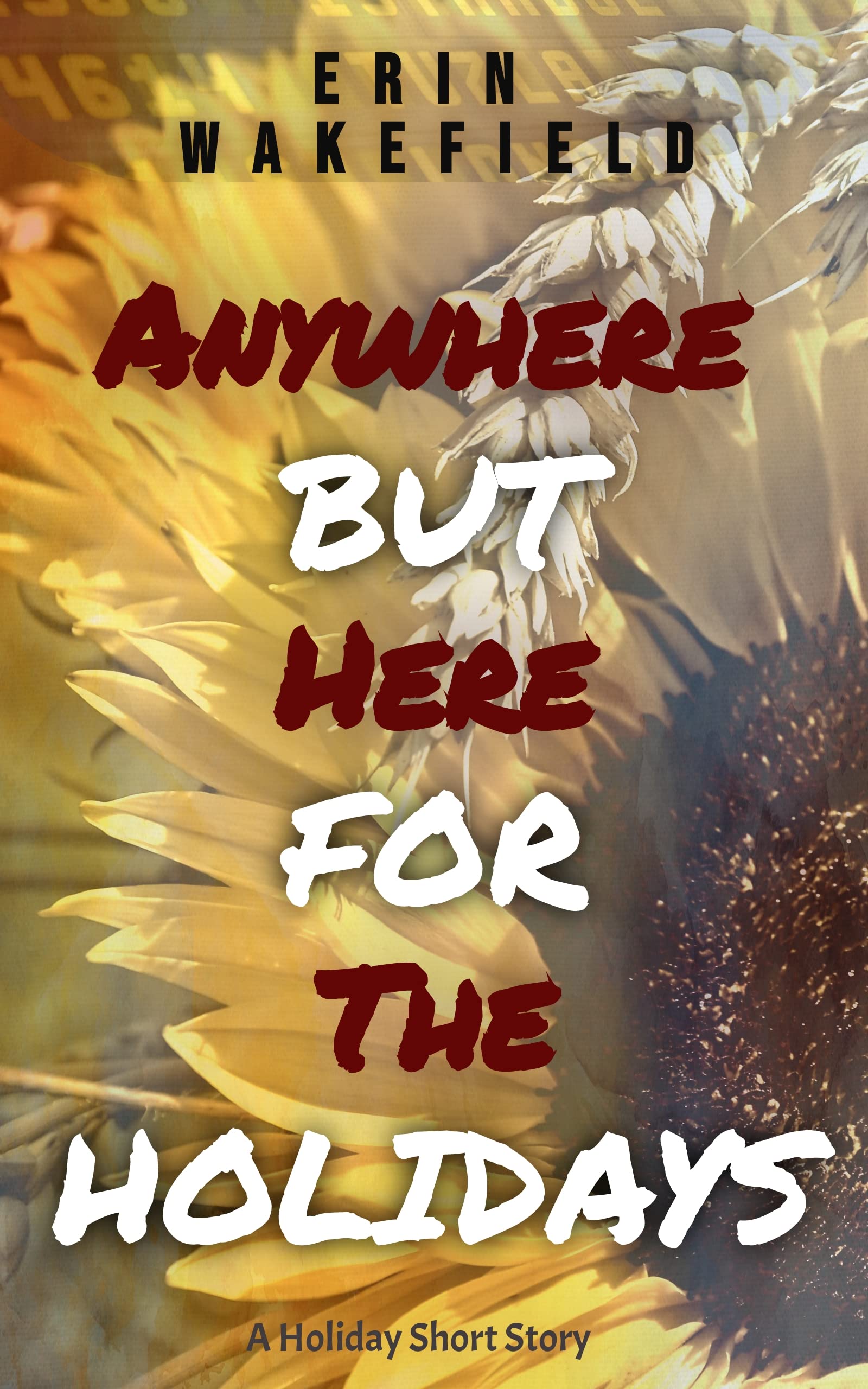 Anywhere But Here For The Holidays: A Holiday Short Story by Erin ...