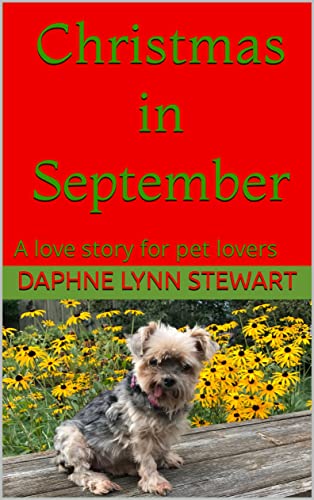 Christmas in September (Merry and Bright #14) by Daphne Lynn Stewart ...