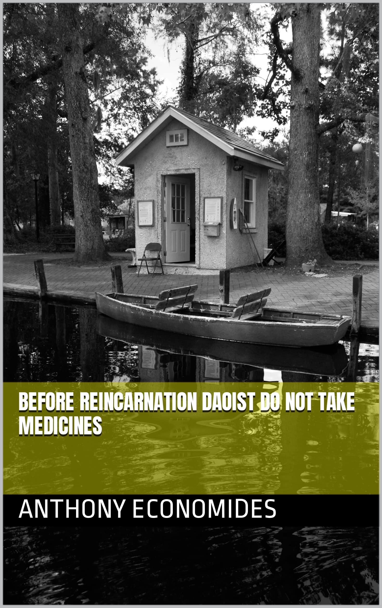 Before Reincarnation Daoist Do Not Take Medicines by Anthony Economides ...