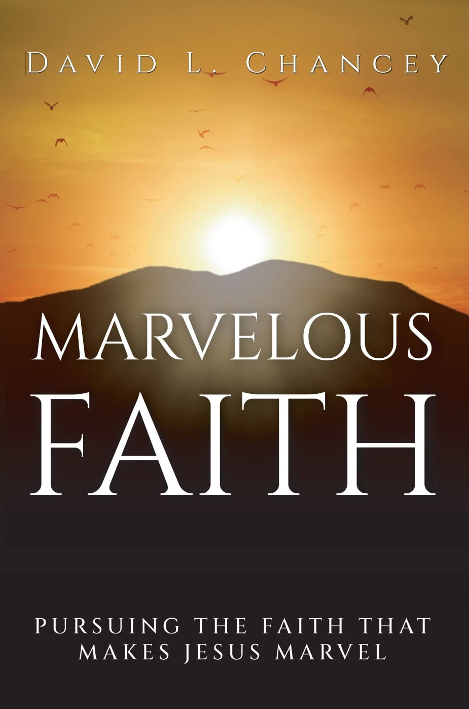 Marvelous Faith: Pursuing the Faith that Makes Jesus Marvel by David L ...