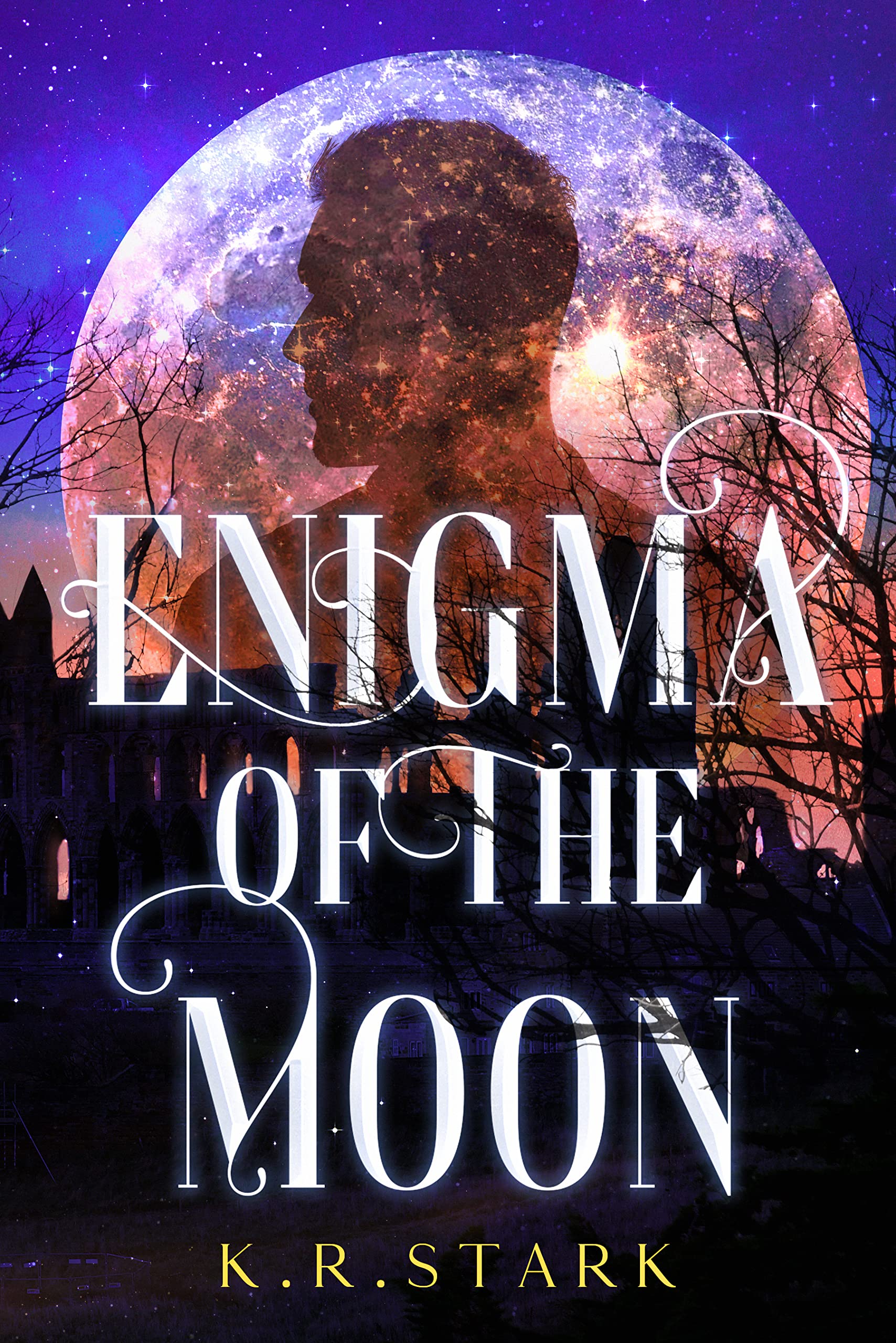 Enigma of the Moon by K.R. Stark | Goodreads