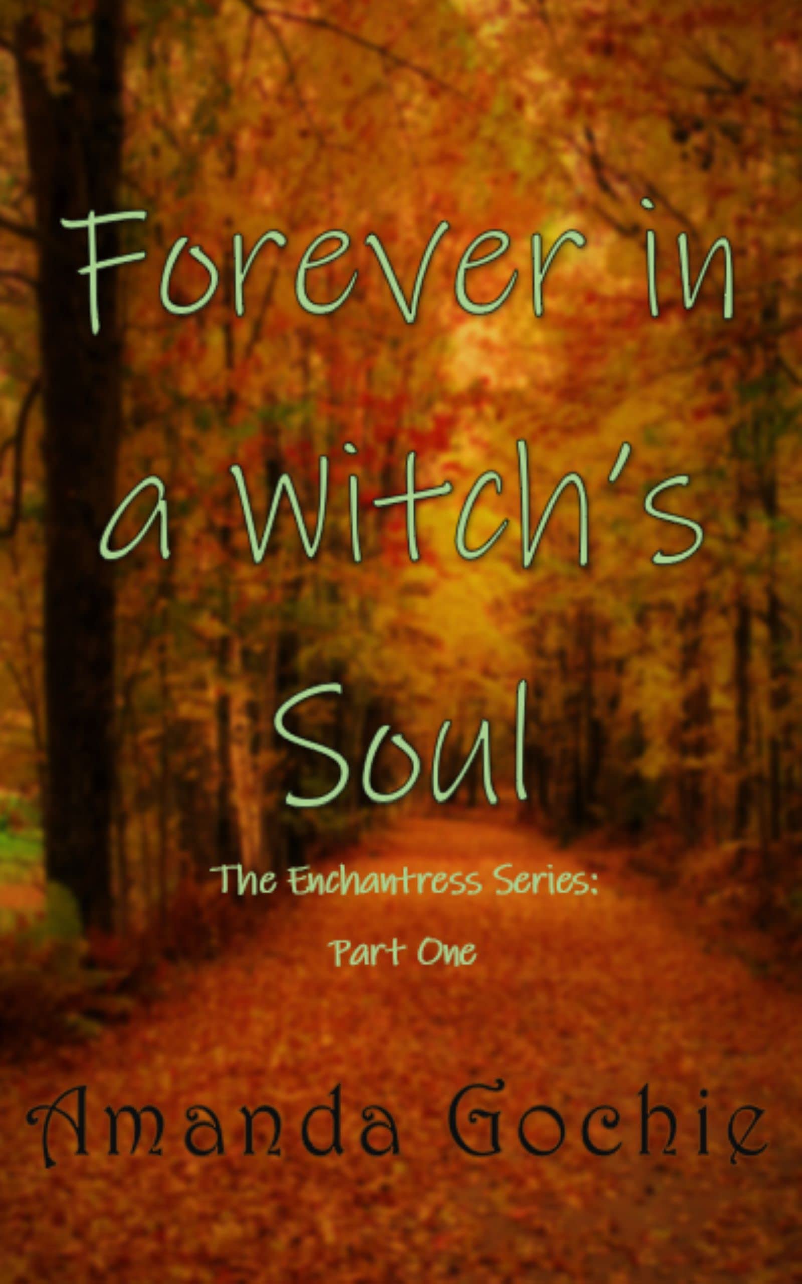 Forever in a Witch's Soul: The Enchantress Series: Part One by Amanda ...