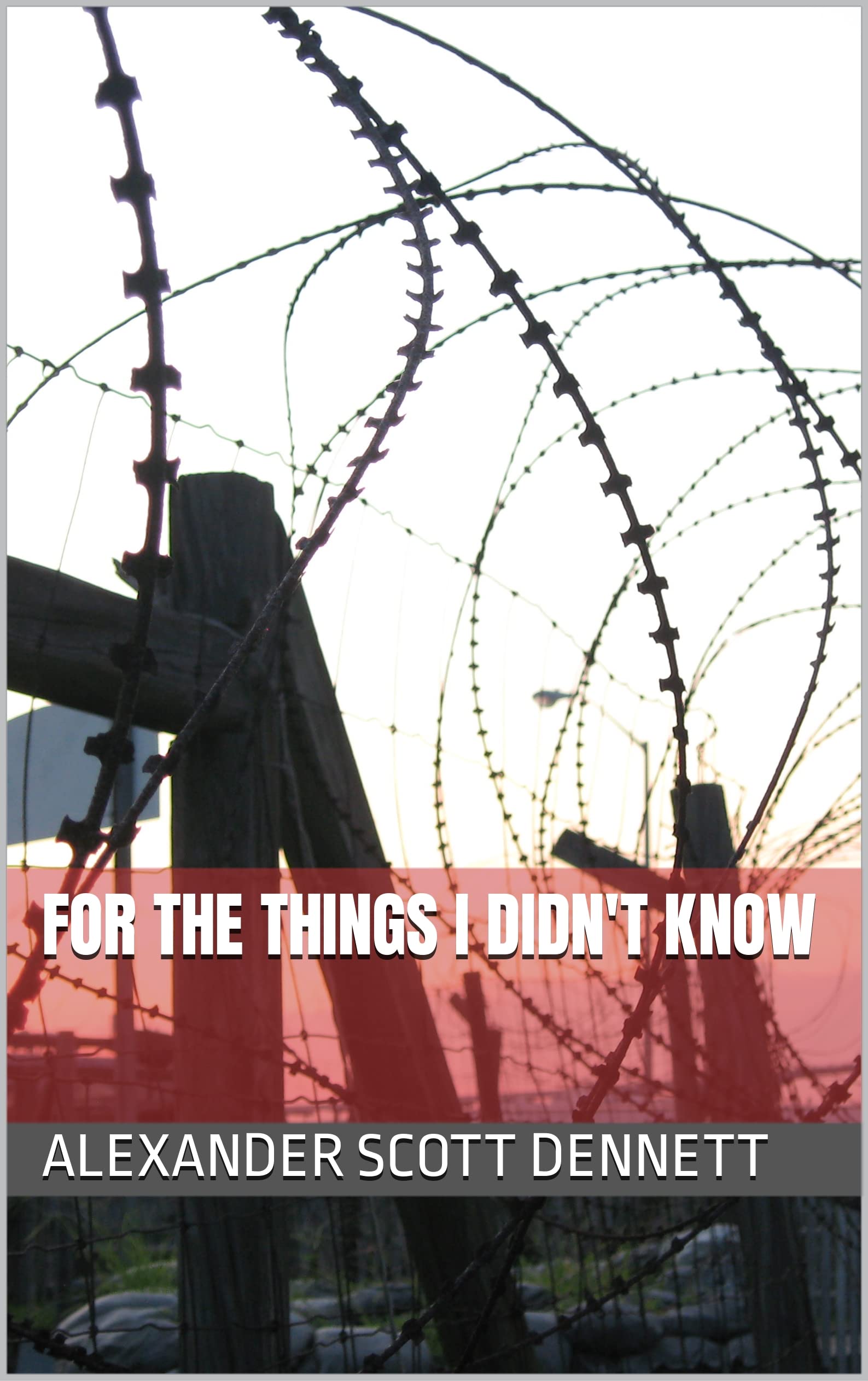 For The Things I Didn't Know by Alexander Scott Dennett | Goodreads