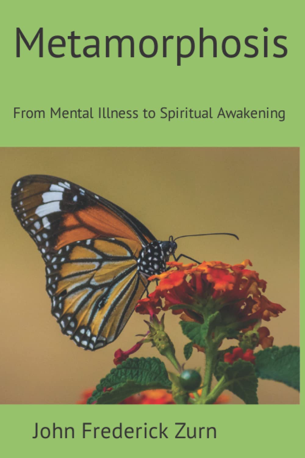 Metamorphosis: From Mental Illness to Spiritual Awakening by John ...