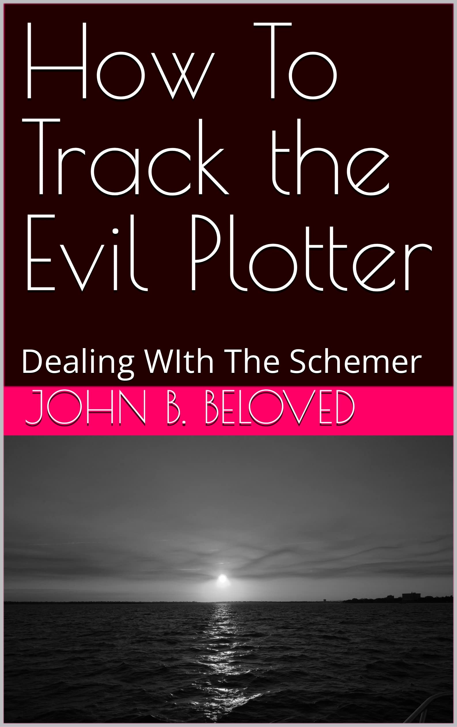 How To Track the Evil Plotter: Dealing WIth The Schemer by John B ...