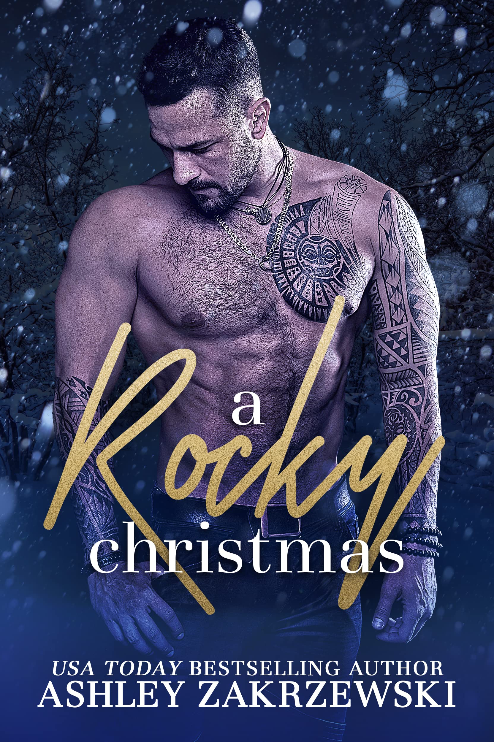 A Rocky Christmas by Ashley Zakrzewski | Goodreads
