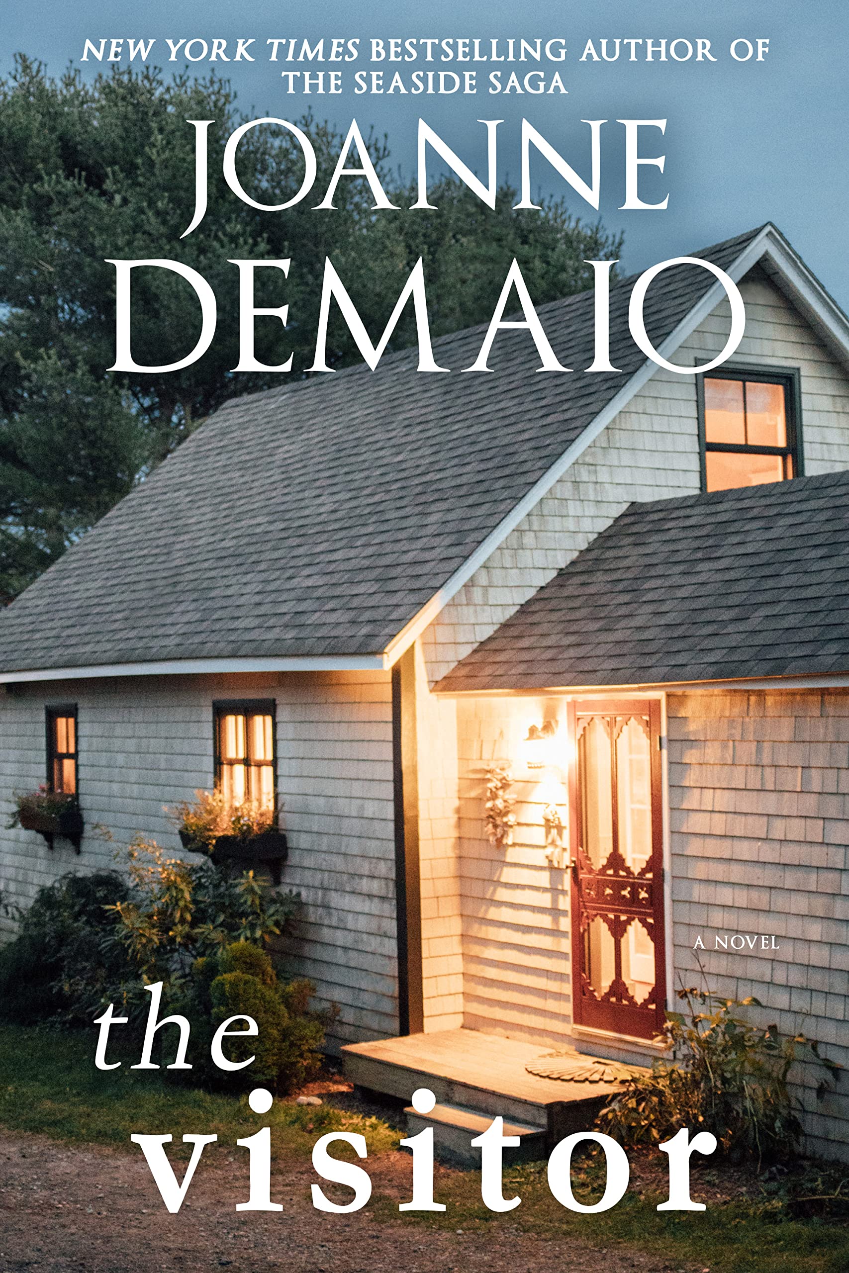 The Visitor (The Seaside Saga Book 18) by Joanne DeMaio | Goodreads