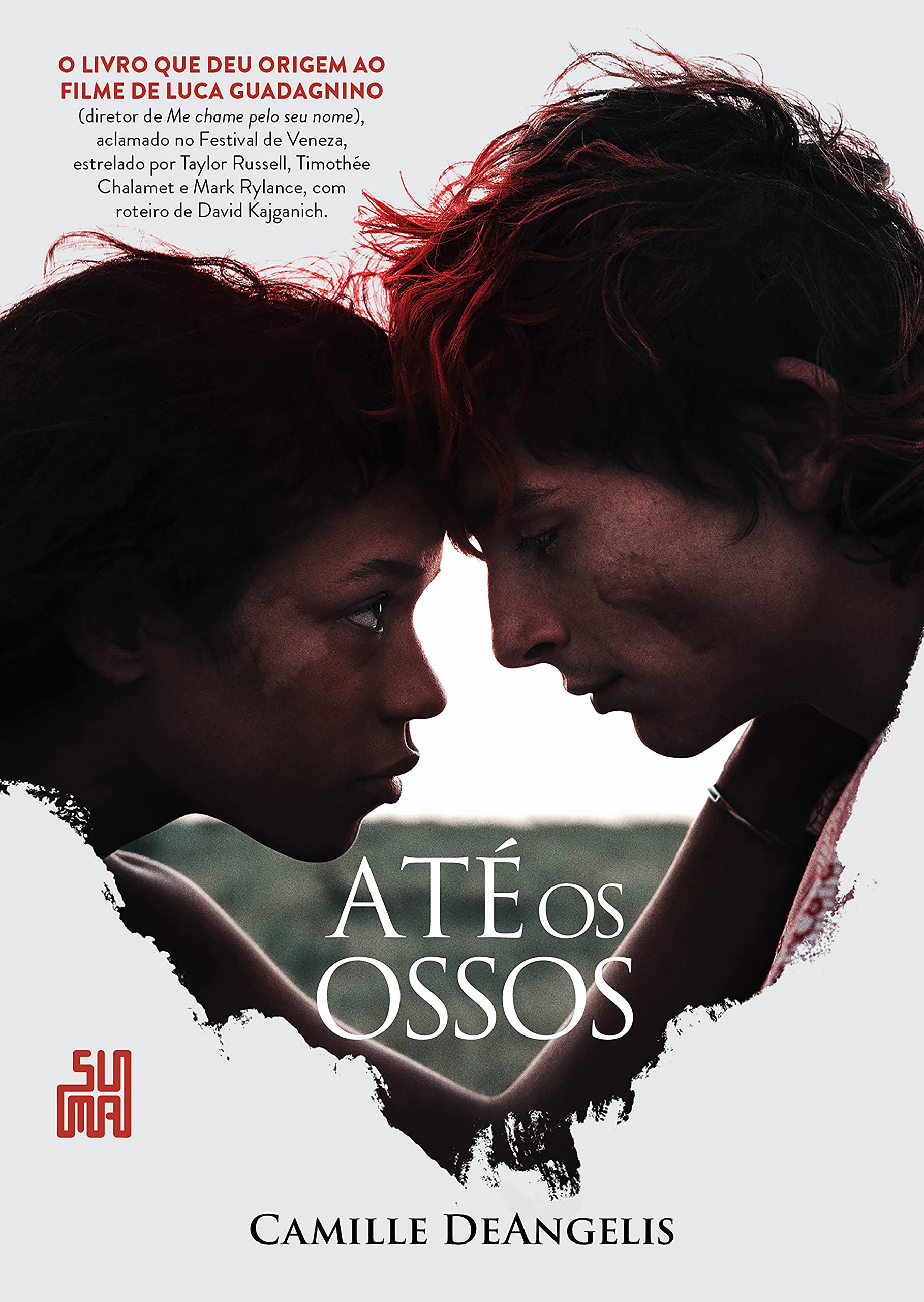 Até os ossos (Portuguese Edition) by Camille DeAngelis | Goodreads