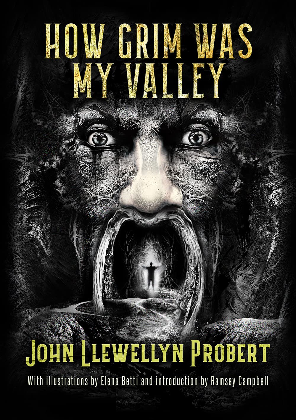 How Grim Was My Valley by John Llewellyn Probert | Goodreads