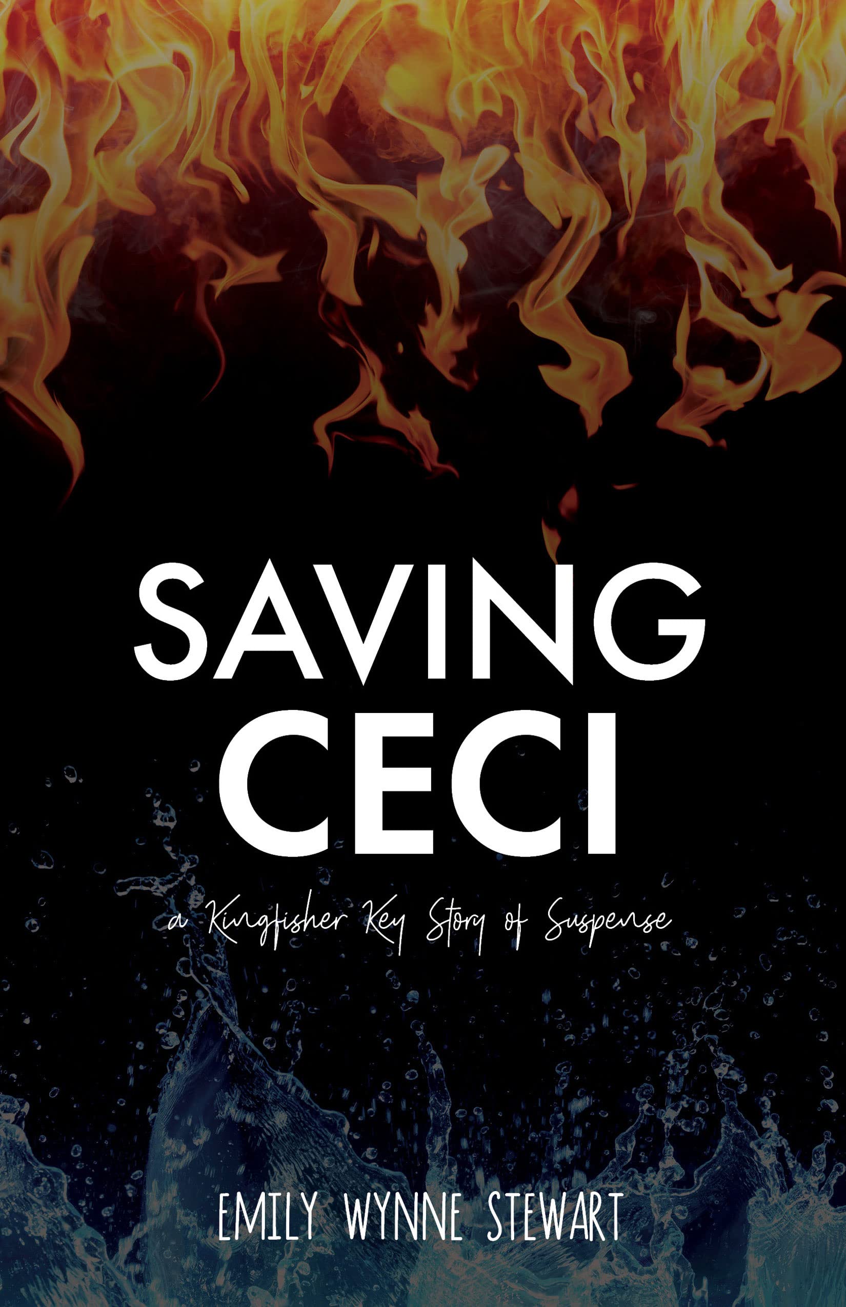 Saving Ceci: A Kingfisher Key Story of Suspense by Emily Wynne Stewart ...
