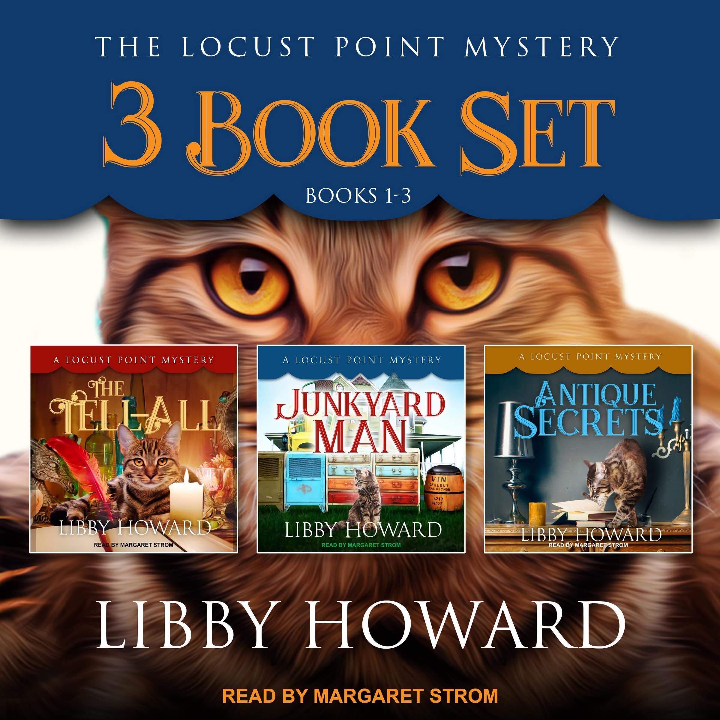 Locust Point Mystery (1-3) by Libby Howard | Goodreads