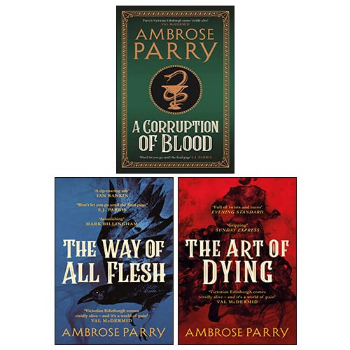 A Raven and Fisher Mystery Series 3 Books Collection Set: A Corruption ...