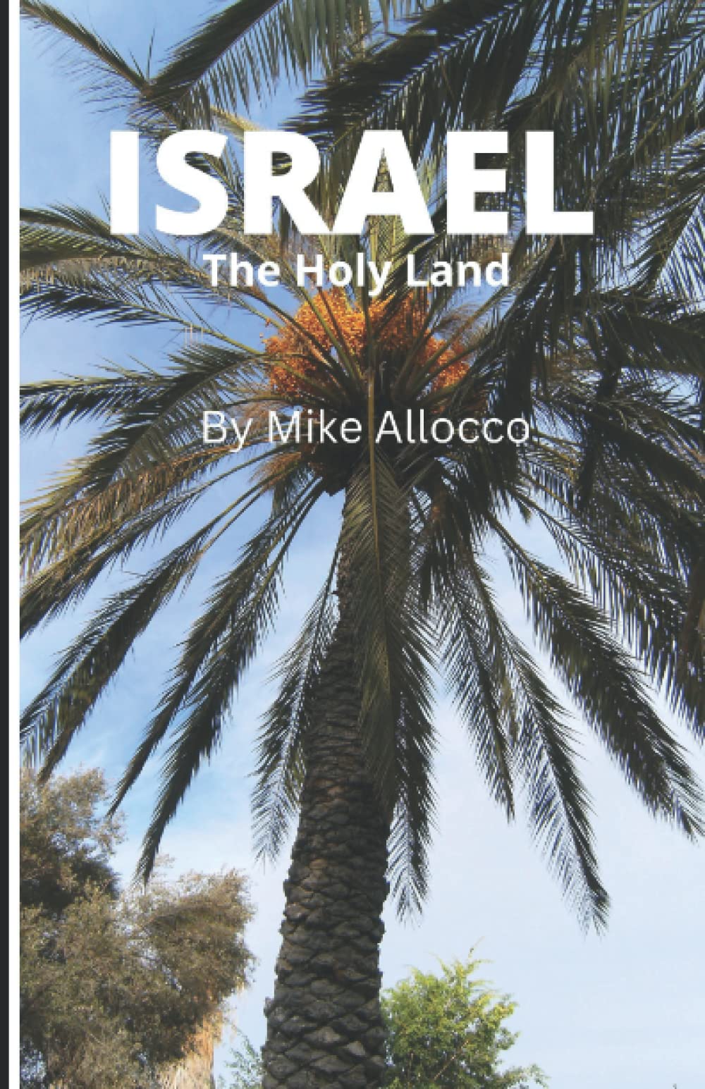 Israel: The Holy Land by Mike Allocco | Goodreads