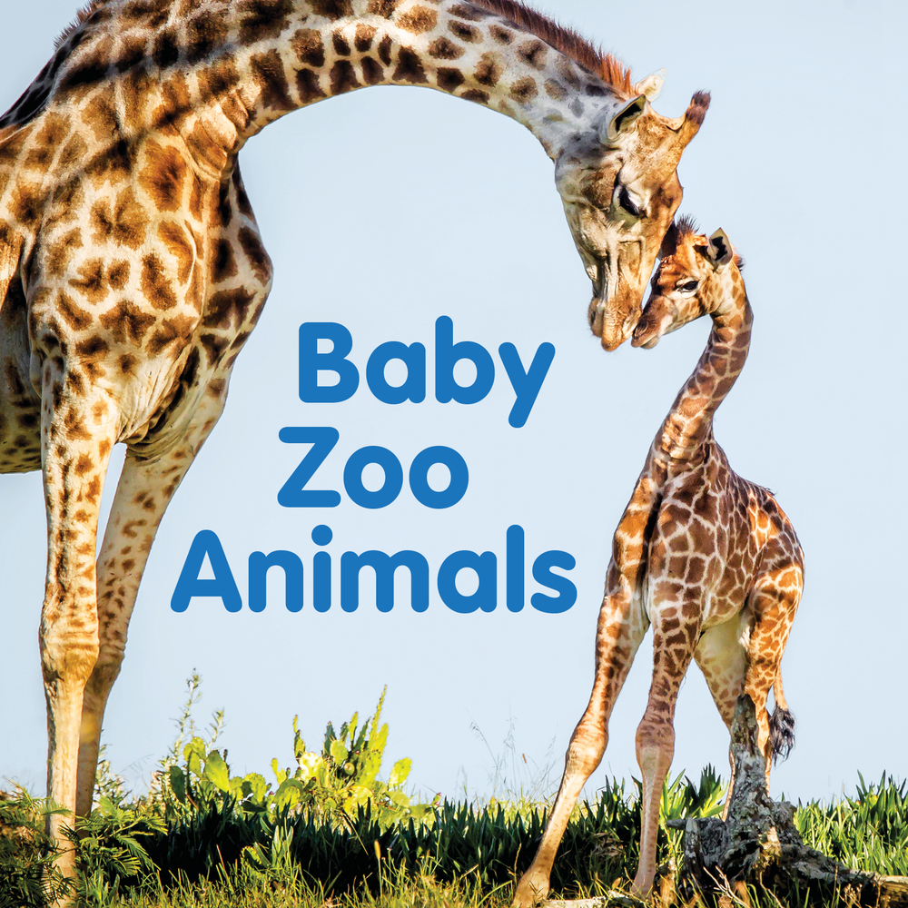 Baby Zoo Animals by New Holland Publishers | Goodreads
