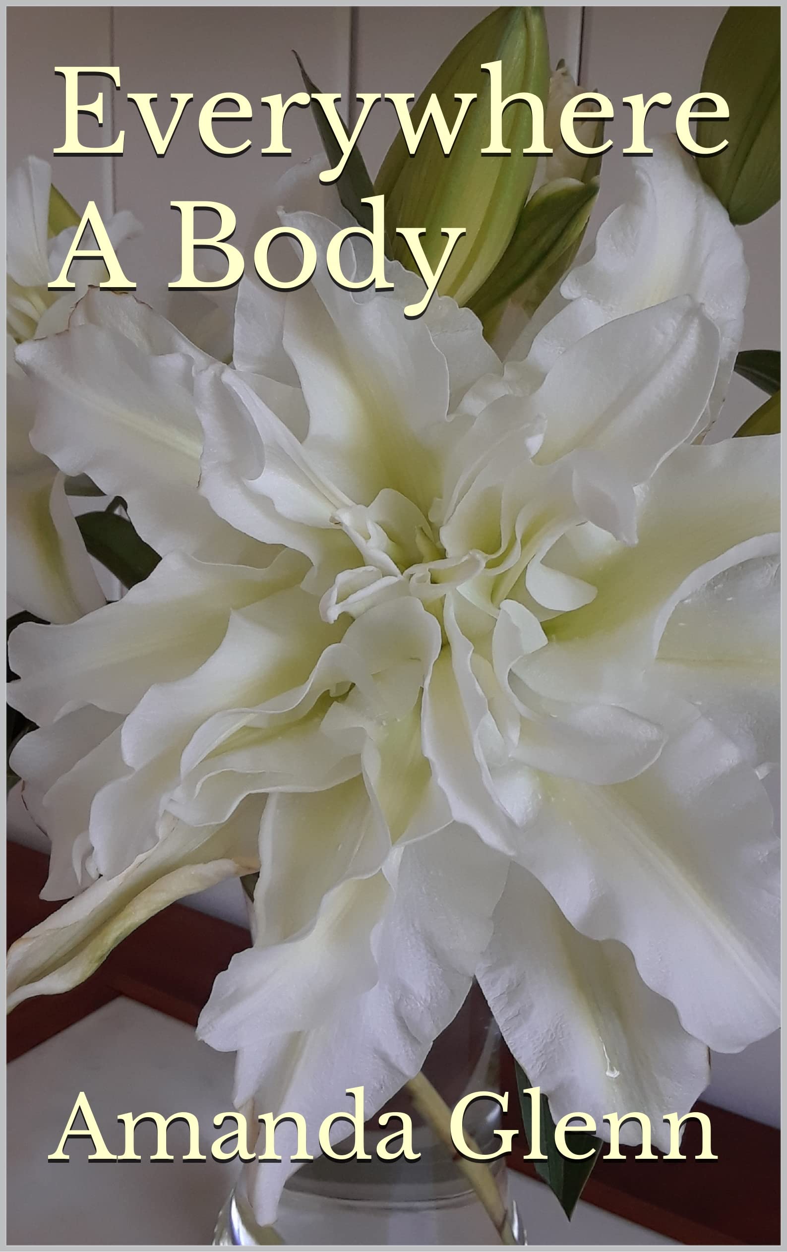 Everywhere A Body (Teddy Books Book 11) by Amanda Glenn | Goodreads