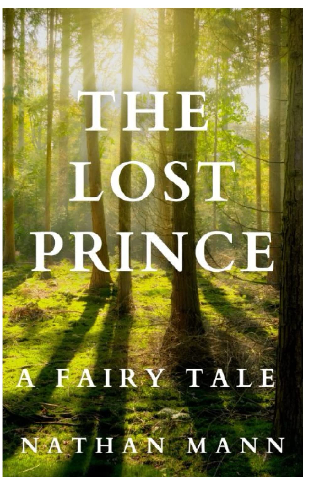 The Lost Prince: A Fairy Tale by Nathan Mann | Goodreads