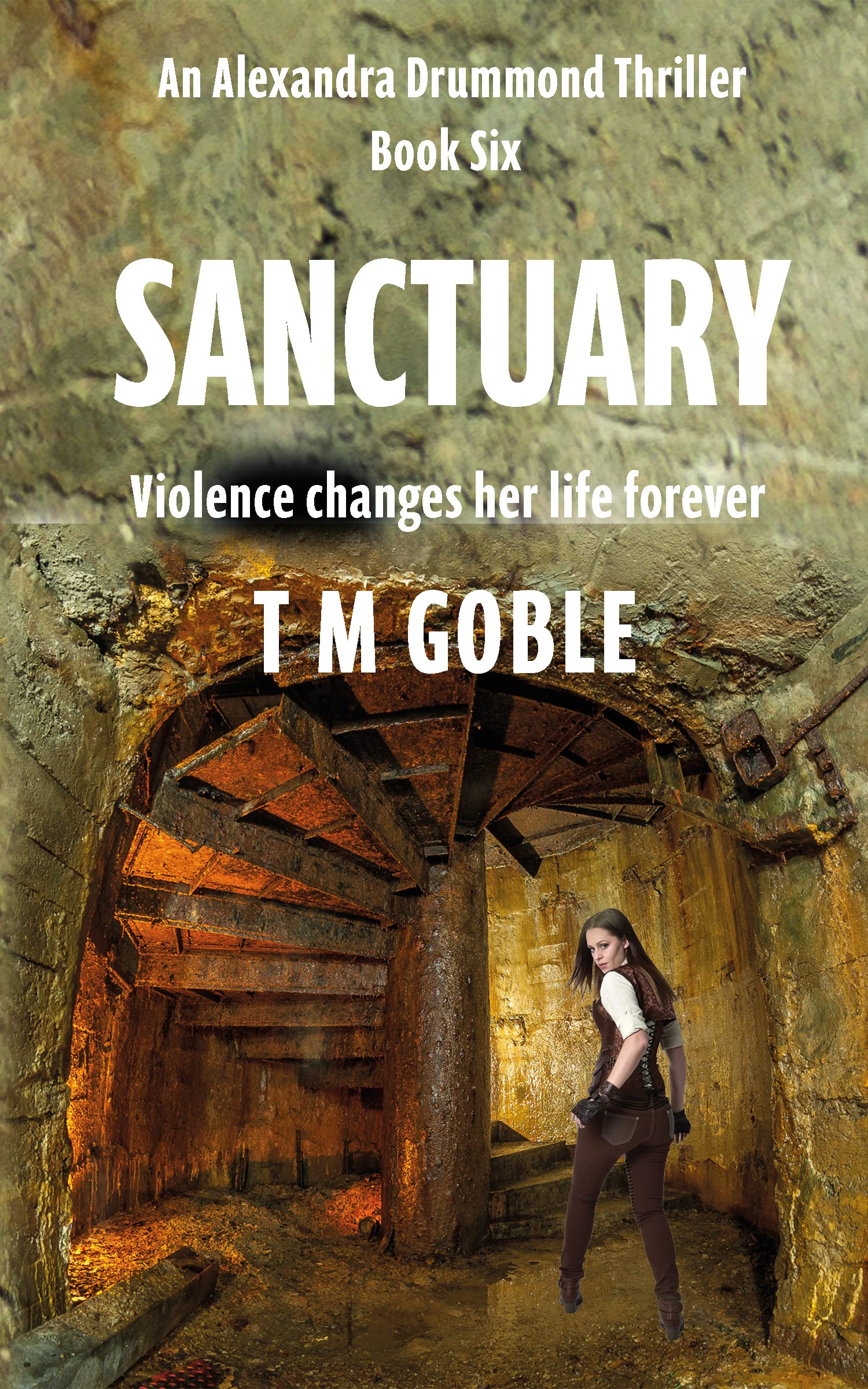 Sanctuary: Book Six (Alexandra Drummond Thrillers 6) by T M Goble ...