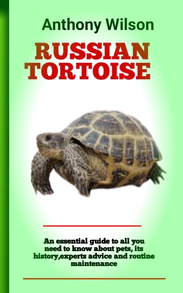 RUSSIAN TORTOISE : The Absolute Guide To Keeping And Training Russian ...